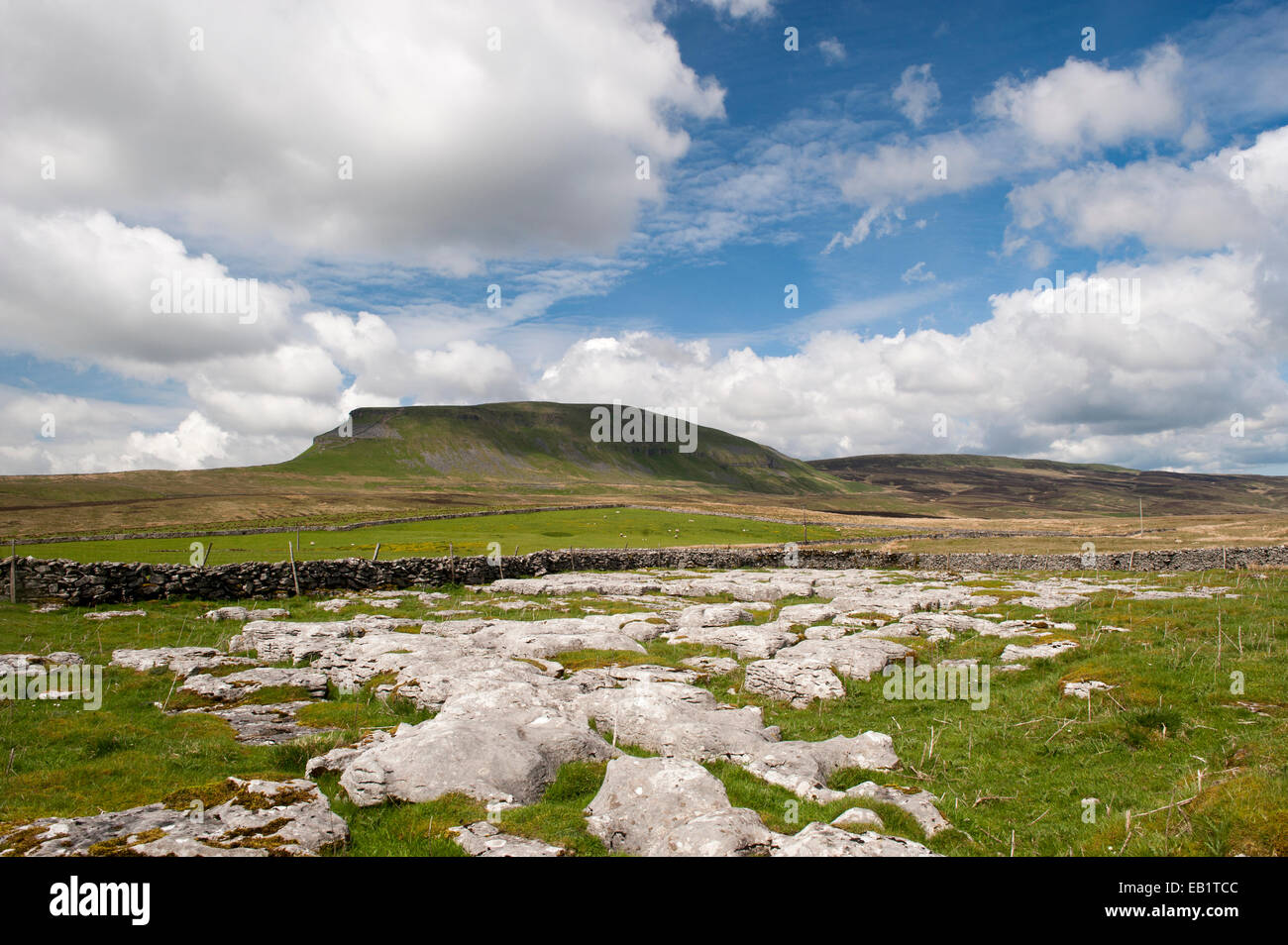 Limestone outcrop with Penyghent in the background, on a summers day ...
