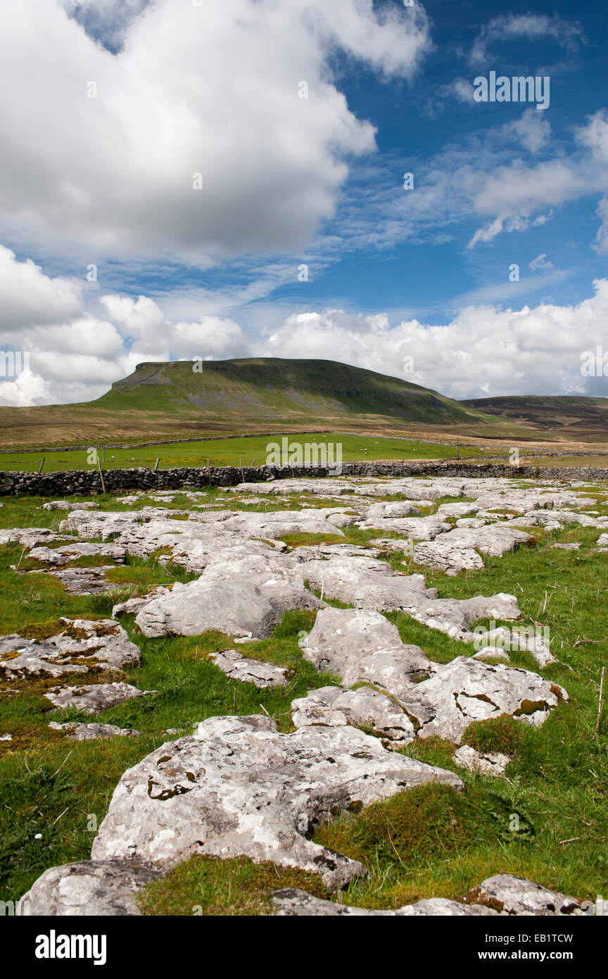 Limestone outcrop with Penyghent in the background, on a summers day ...