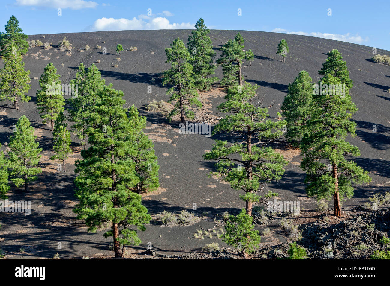 A view of Sunset Crater Volcano National Monument, Arizona Stock Photo ...