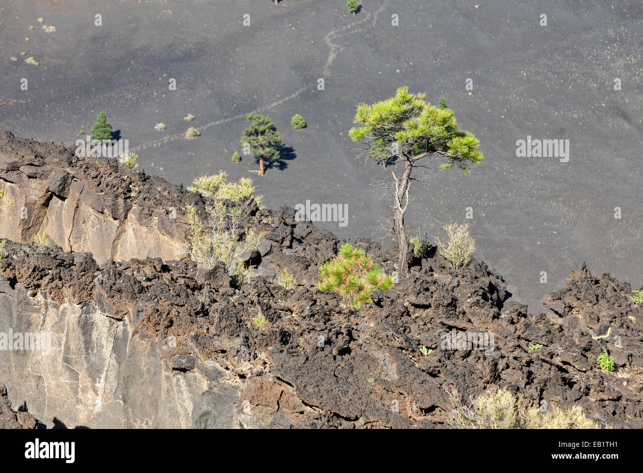 A view of Sunset Crater Volcano National Monument, Arizona Stock Photo ...