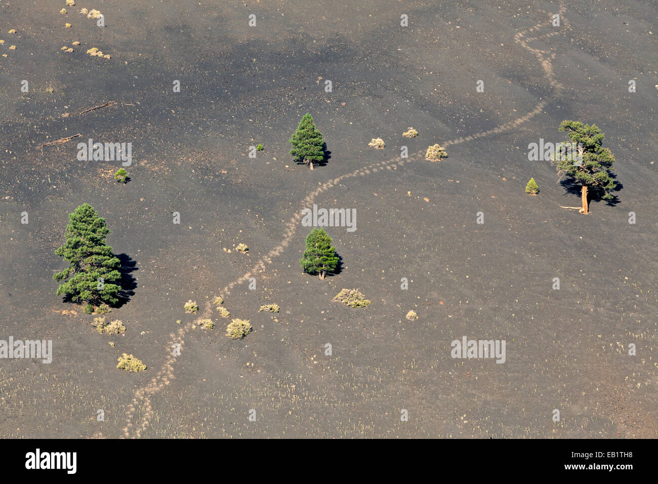 A view of Sunset Crater Volcano National Monument, Arizona Stock Photo ...