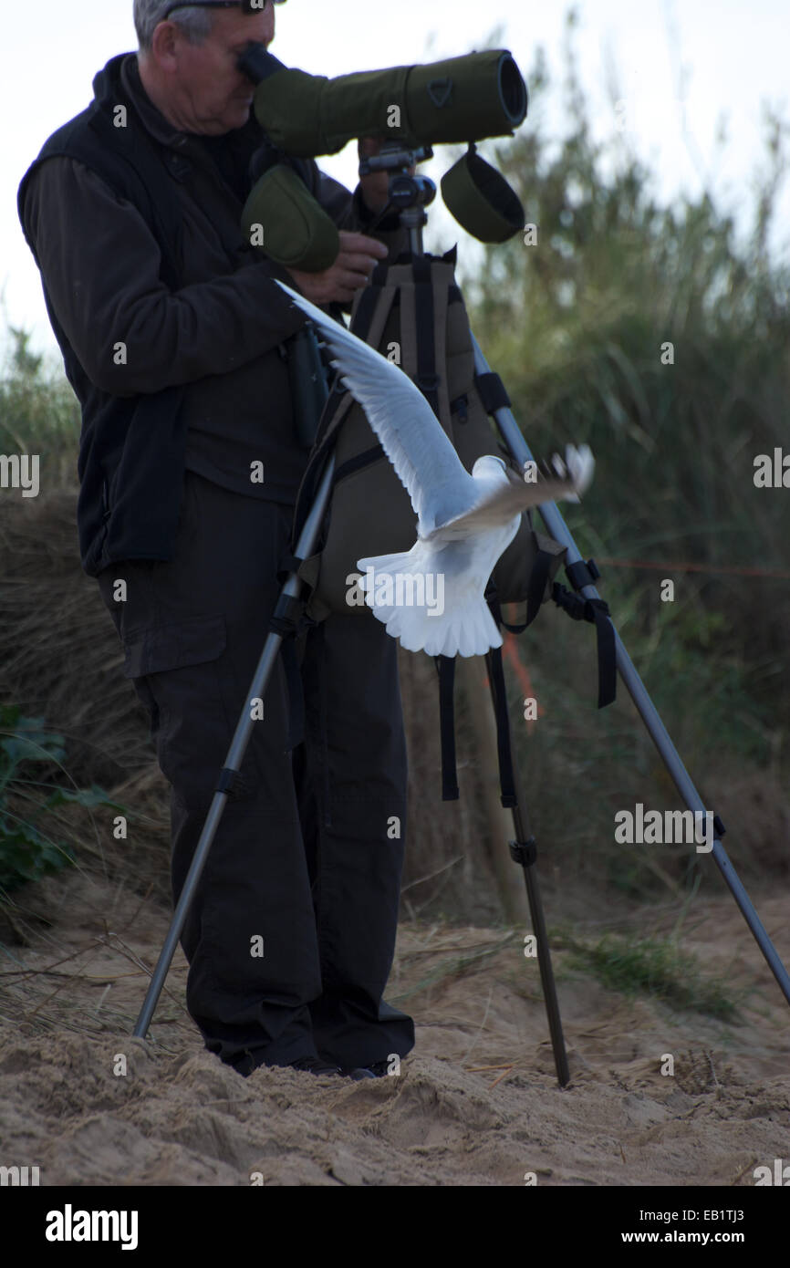 Birdwatcher hi-res stock photography and images - Alamy