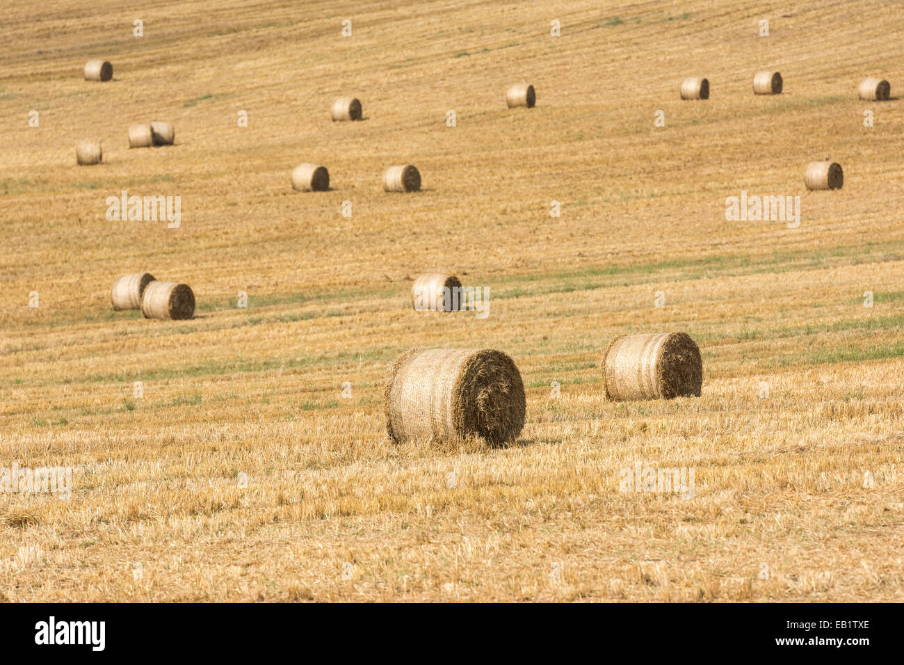 Roll on summer hi-res stock photography and images - Alamy