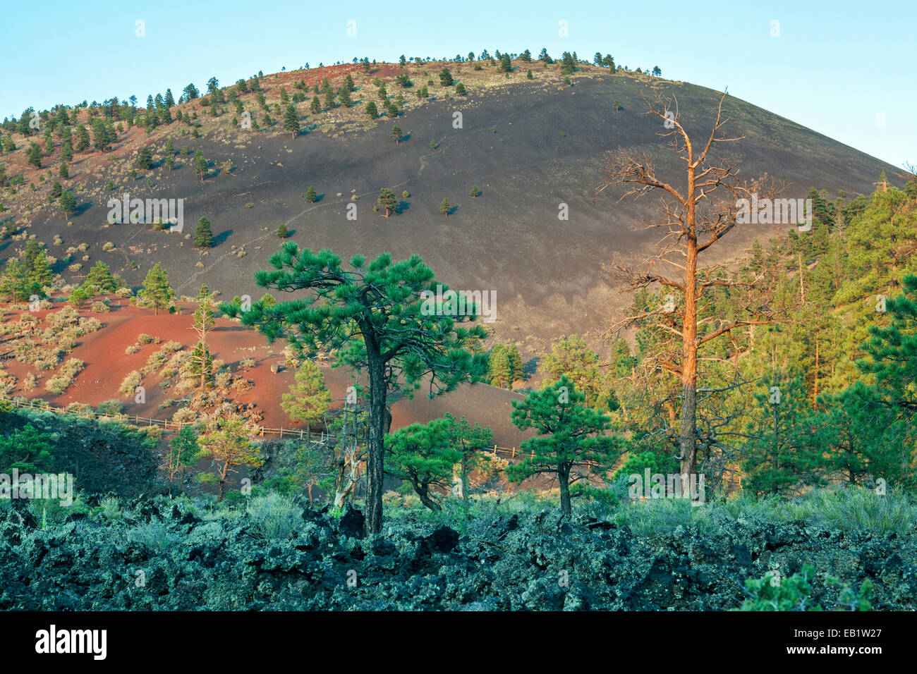 A view of Sunset Crater Volcano National Monument, Arizona Stock Photo ...