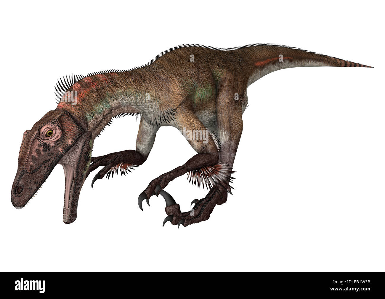 3D digital render of a curious dinosaur utahraptor looking down ...