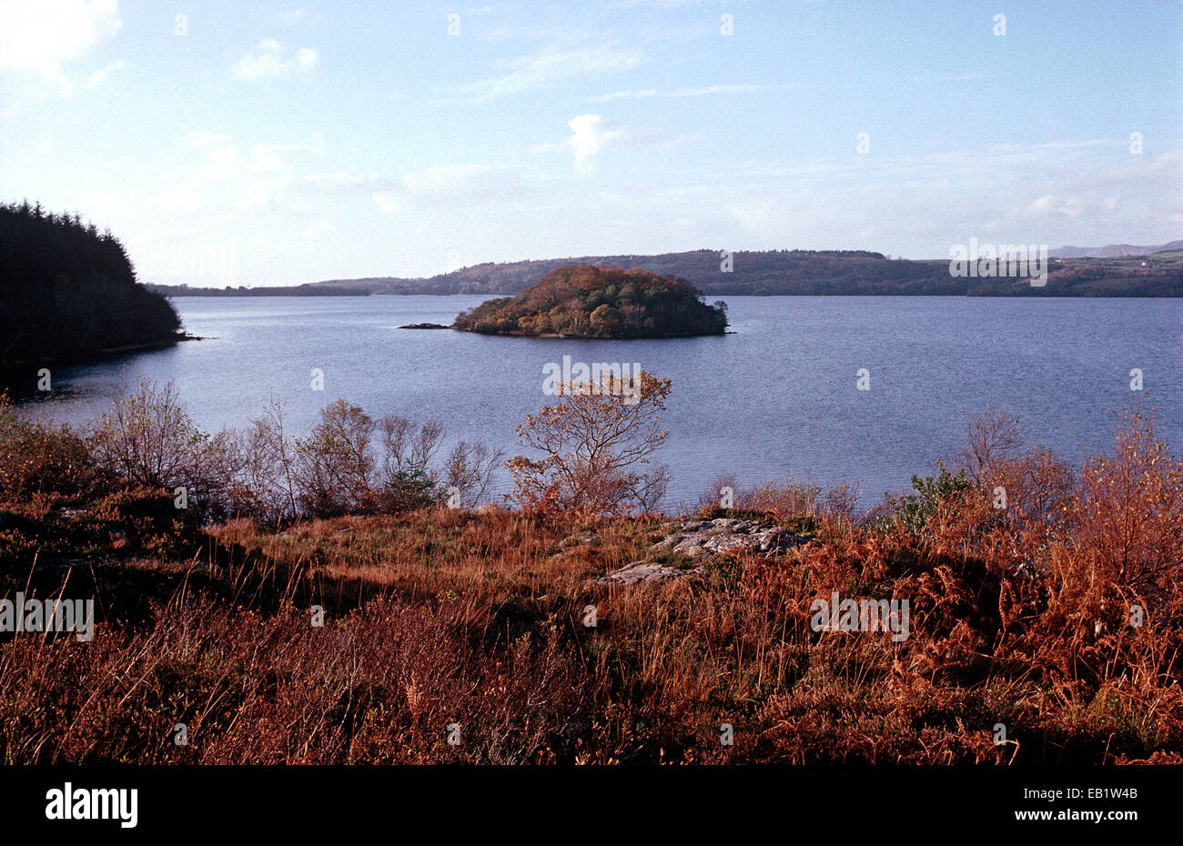 THE LAKE ISLE OF INNISFREE, LOUGH GILL, COUNTY SLIGO, IRELAND DEPICTED ...