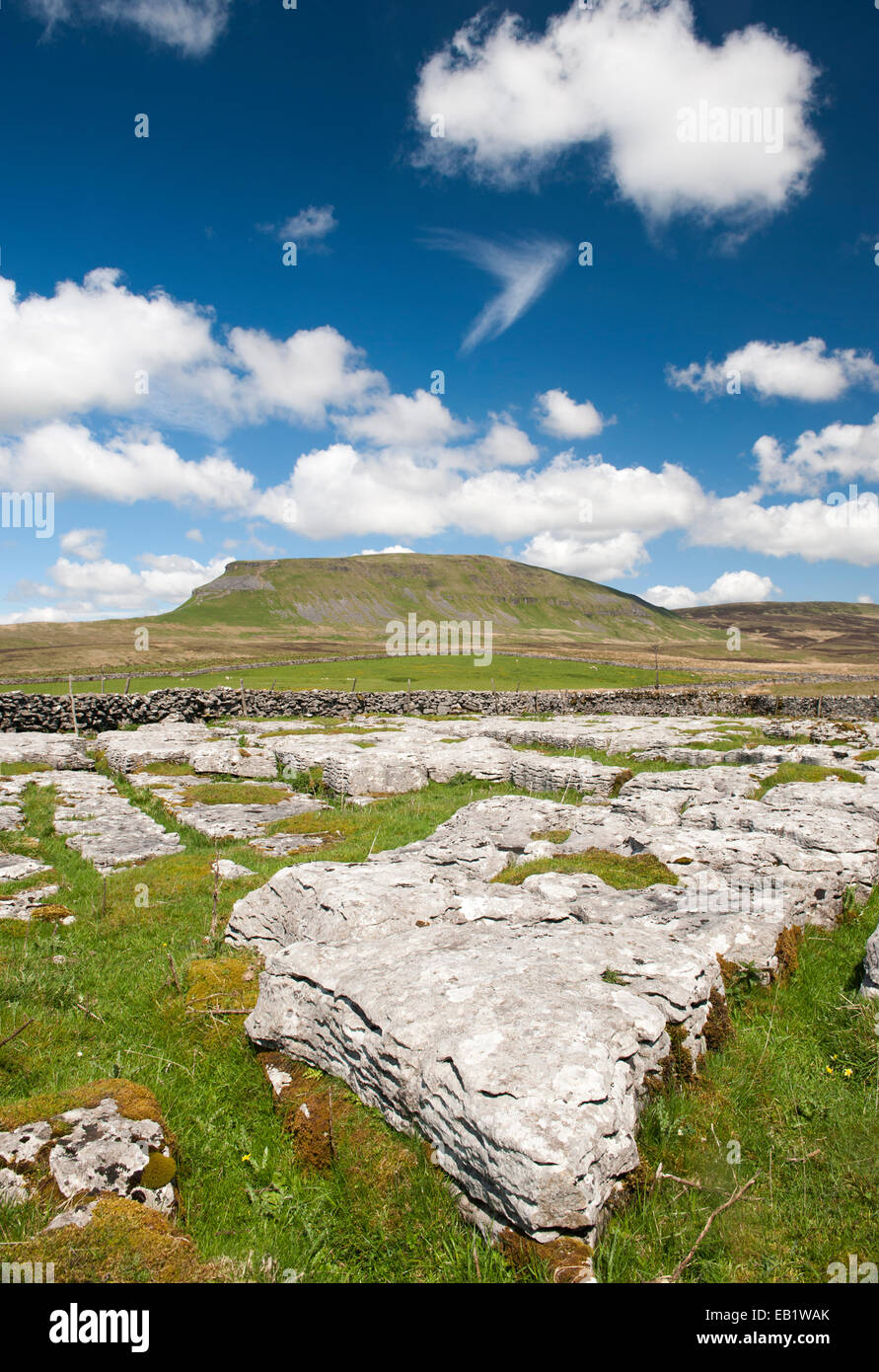 Limestone outcrop with Penyghent in the background, on a summers day ...