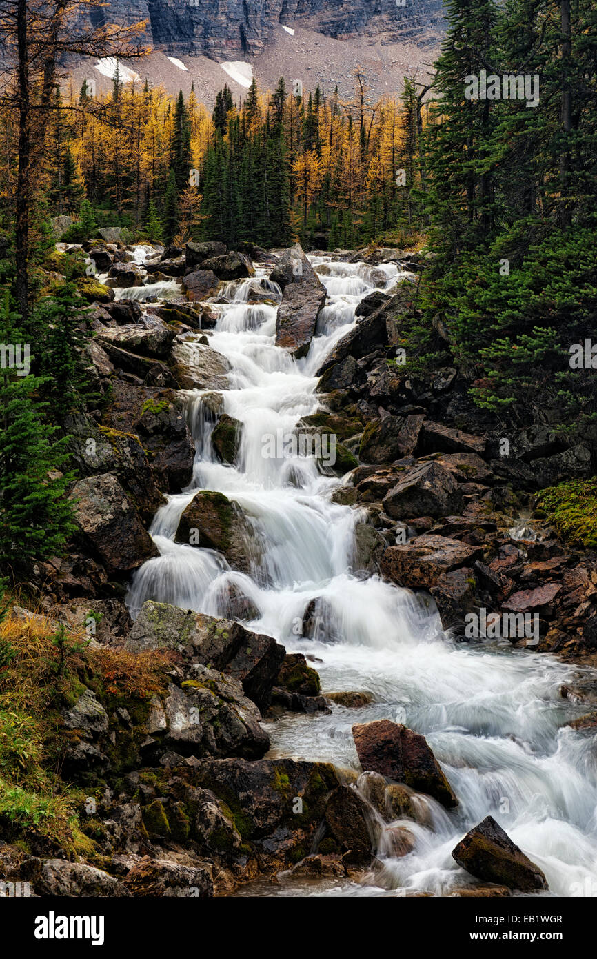 Rushing stream flows from opabin hi-res stock photography and images ...