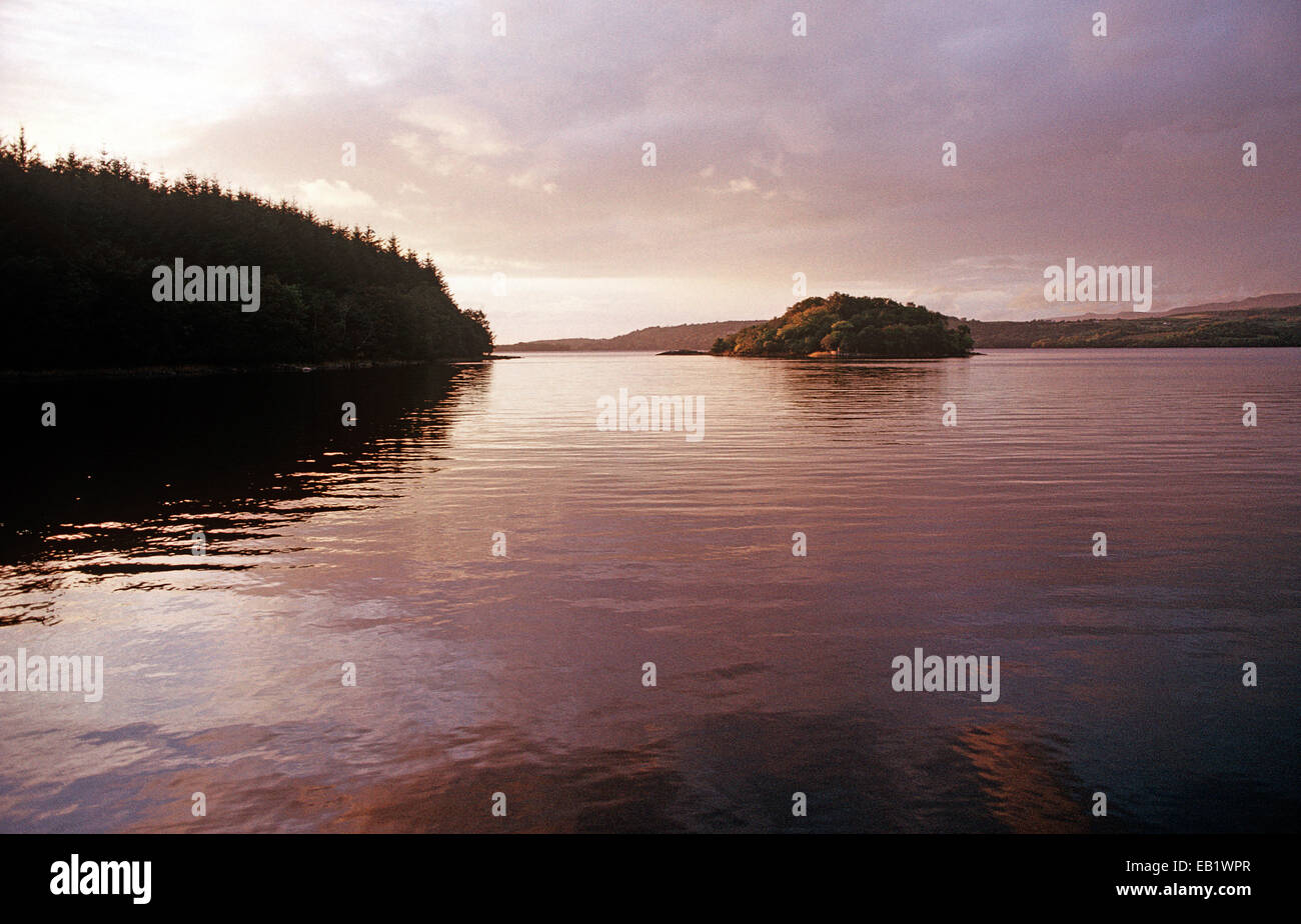 THE LAKE ISLE OF INNISFREE, LOUGH GILL, COUNTY SLIGO, IRELAND DEPICTED ...