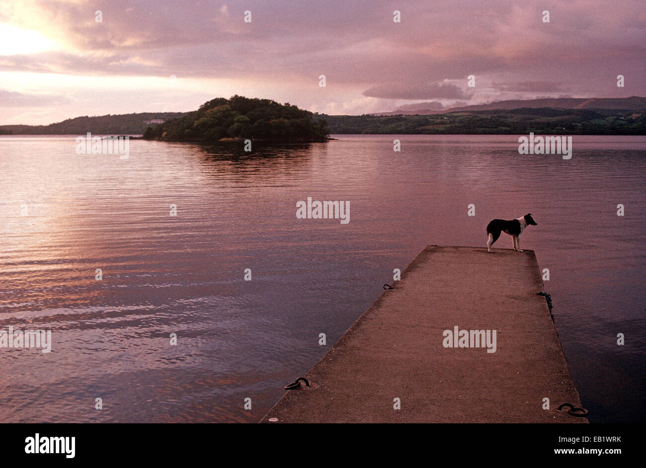 Innisfree ireland hi-res stock photography and images - Alamy