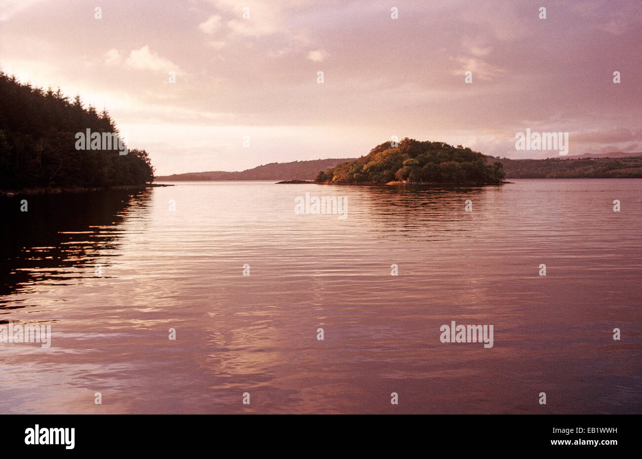 THE LAKE ISLE OF INNISFREE, LOUGH GILL, COUNTY SLIGO, IRELAND DEPICTED ...