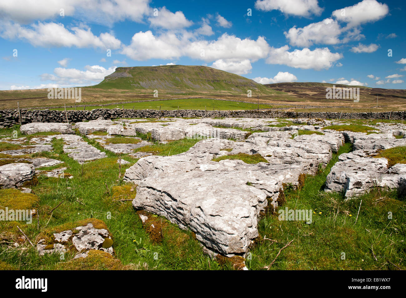 Limestone outcrop with Penyghent in the background, on a summers day ...
