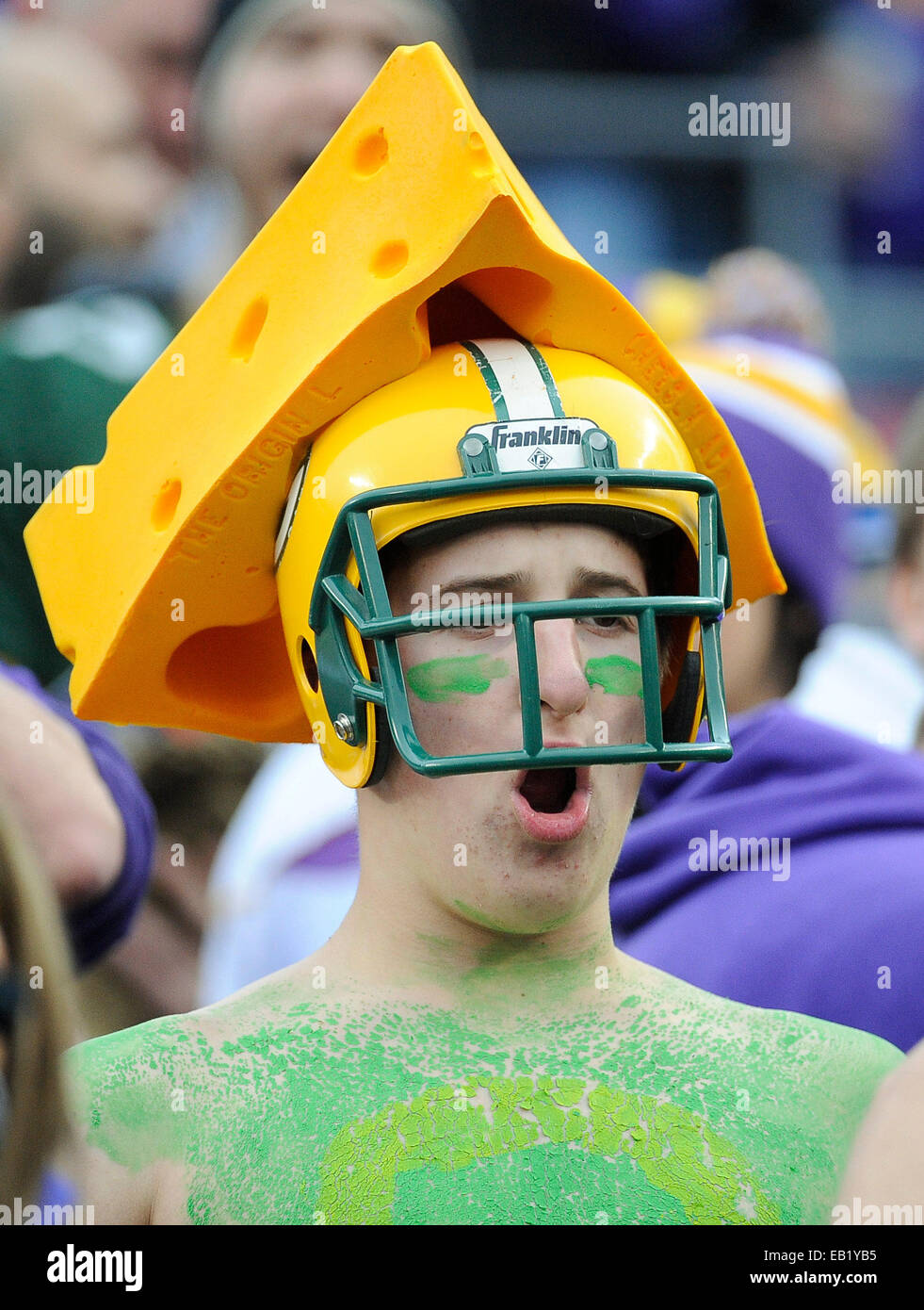 Minneapolis, MN, USA. 23rd Nov, 2014. Green Bay Packers fan during the ...