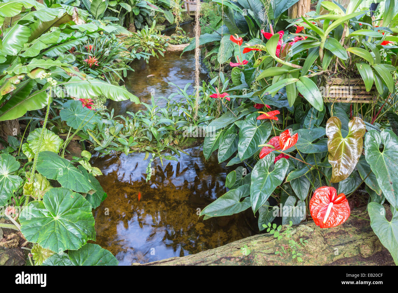 Botanical garden reflection pool hi-res stock photography and images ...