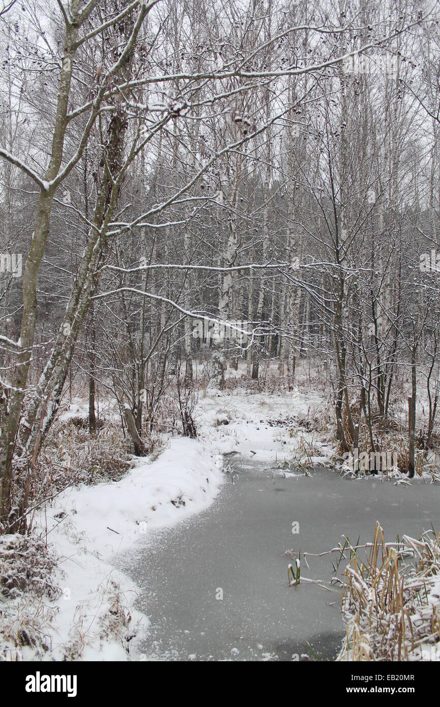 Pond in the forest in winter hi-res stock photography and images - Alamy