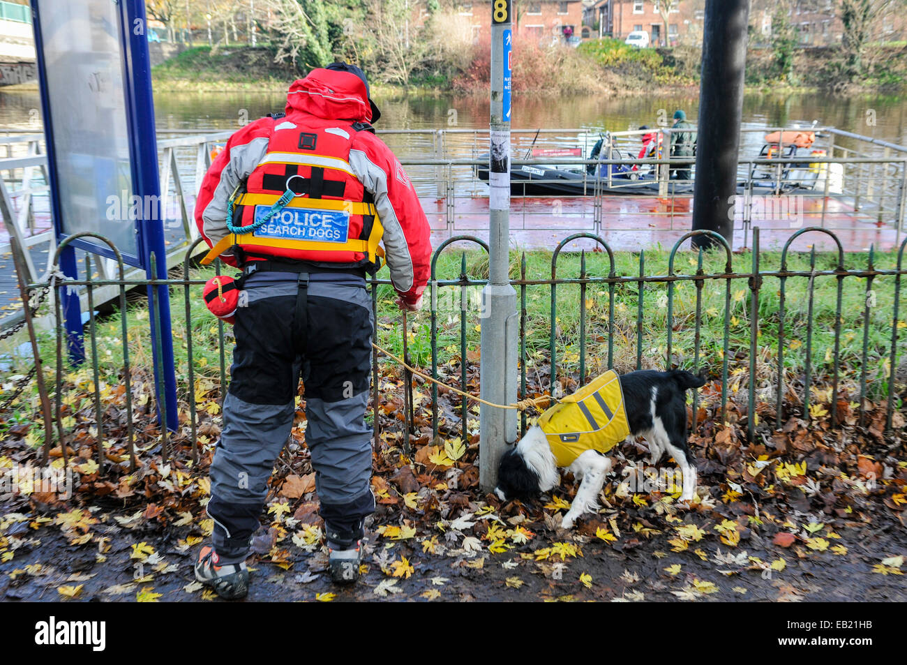 Police sniffer dog hi-res stock photography and images - Alamy