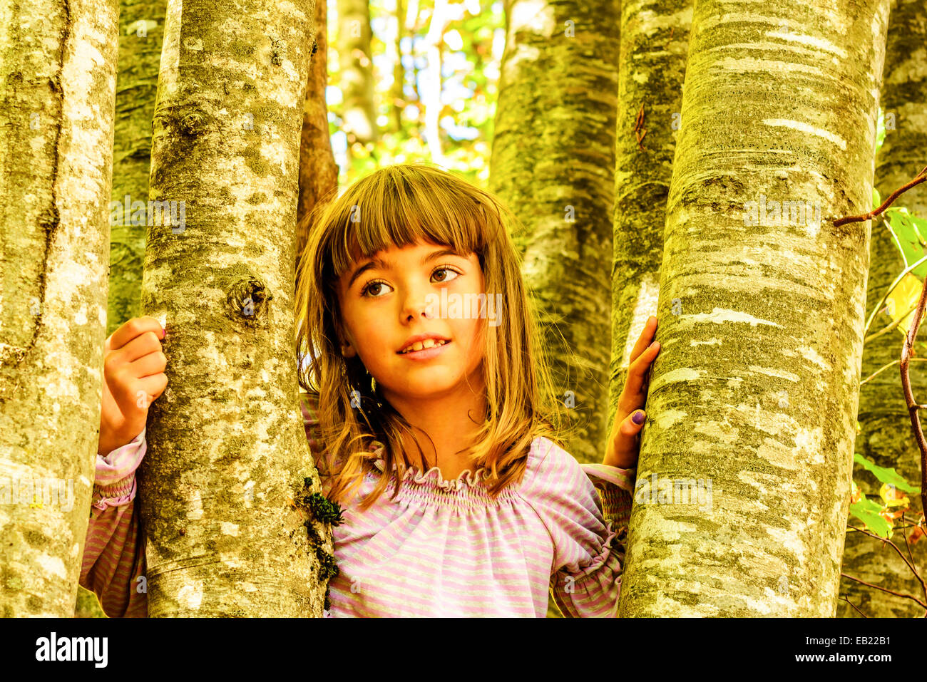 Girl standing in forest hi-res stock photography and images - Alamy