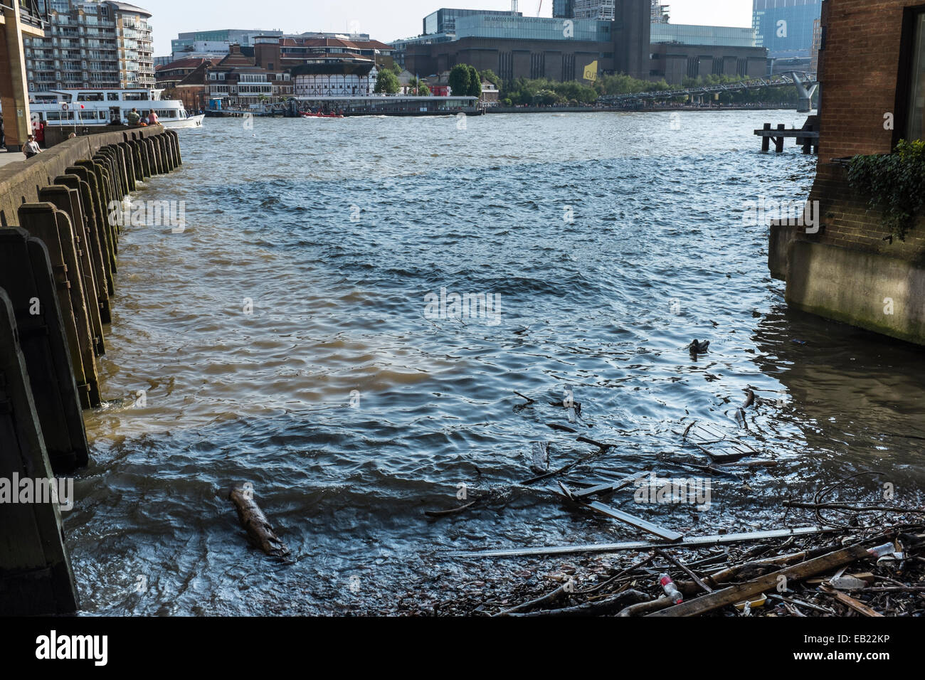 Pieces of wood, plastic and other materials become flotsam at the edge ...
