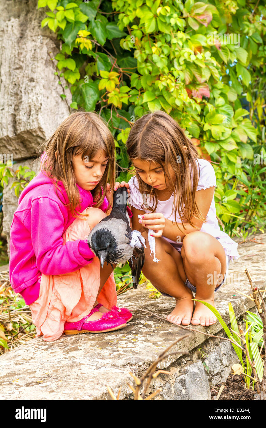 Animal helping children hi-res stock photography and images - Alamy