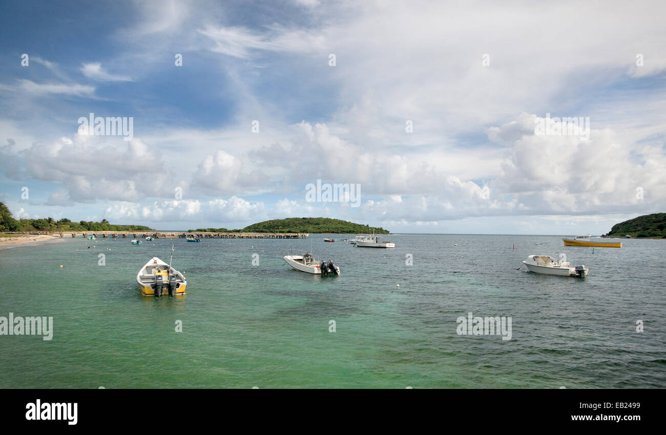 fishing boats in Esperanza Harbor, Vieques, Puerto Rico Stock Photo - Alamy