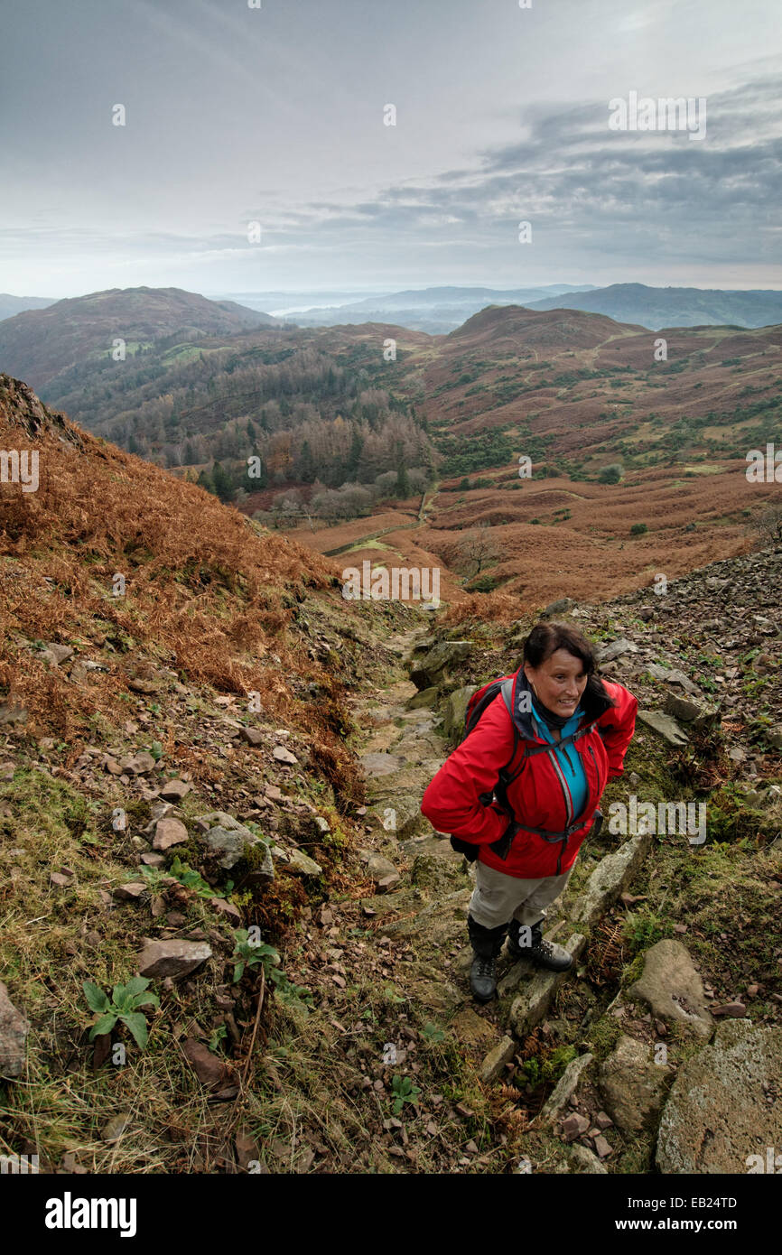 Rambler climbing up Silver how fell in the English Lake district ...