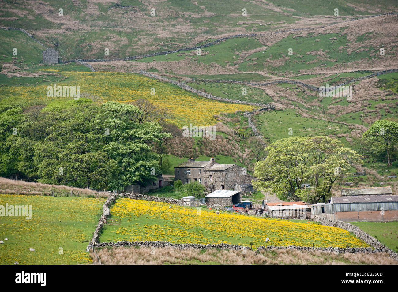 Remote hill farm hi-res stock photography and images - Alamy