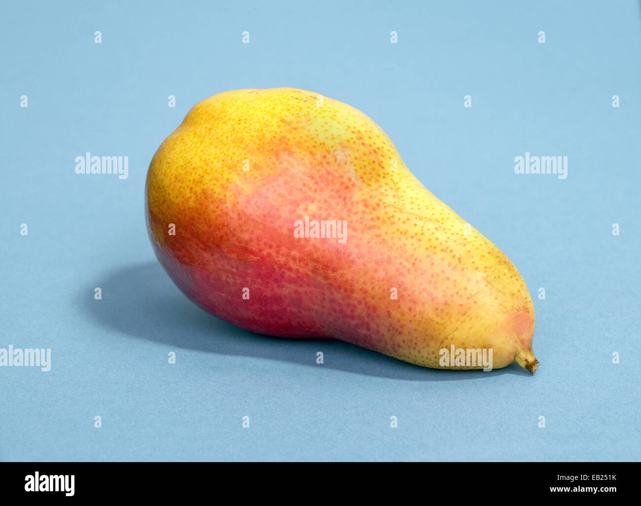 Forelle pear tree hi-res stock photography and images - Alamy