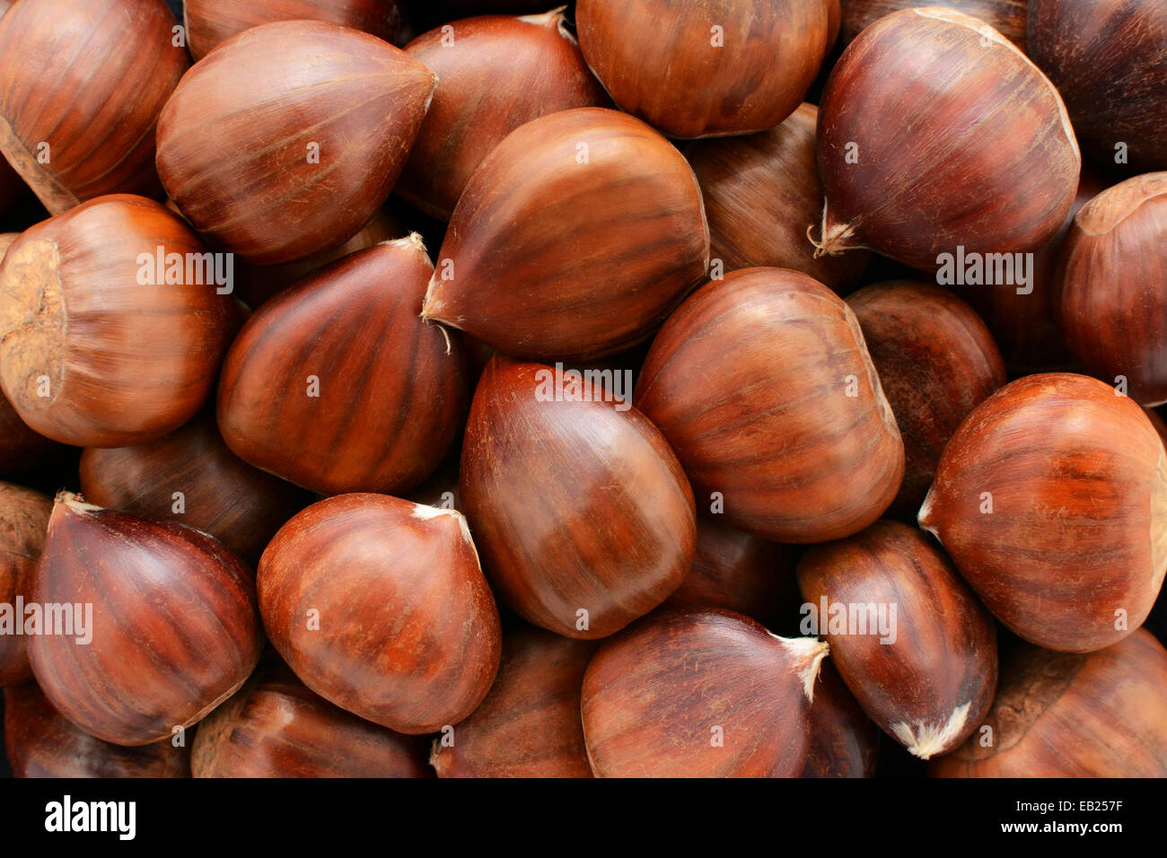 Sweet chestnuts as an abstract background texture Stock Photo - Alamy