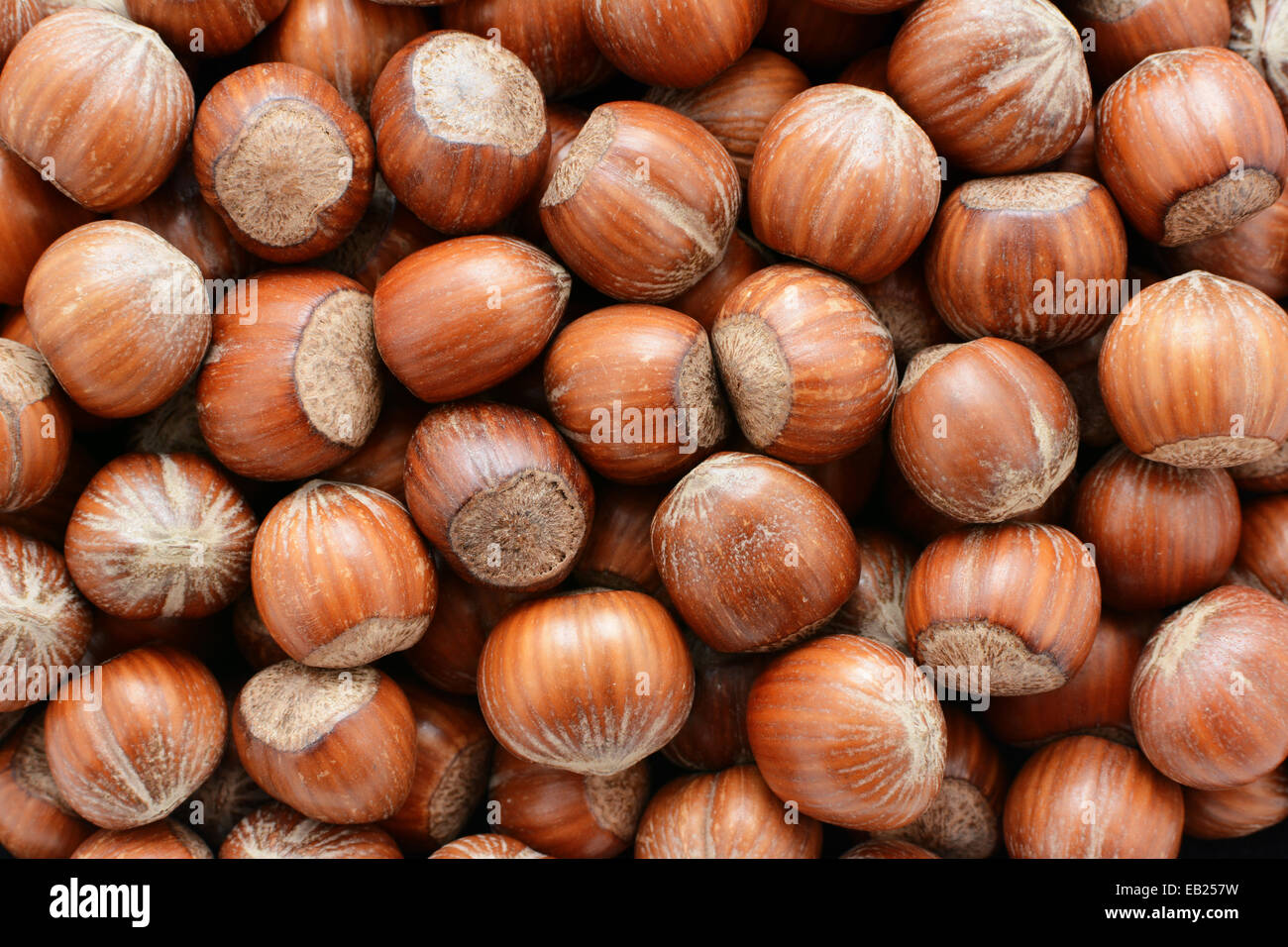 Hazelnuts as an abstract background texture Stock Photo - Alamy