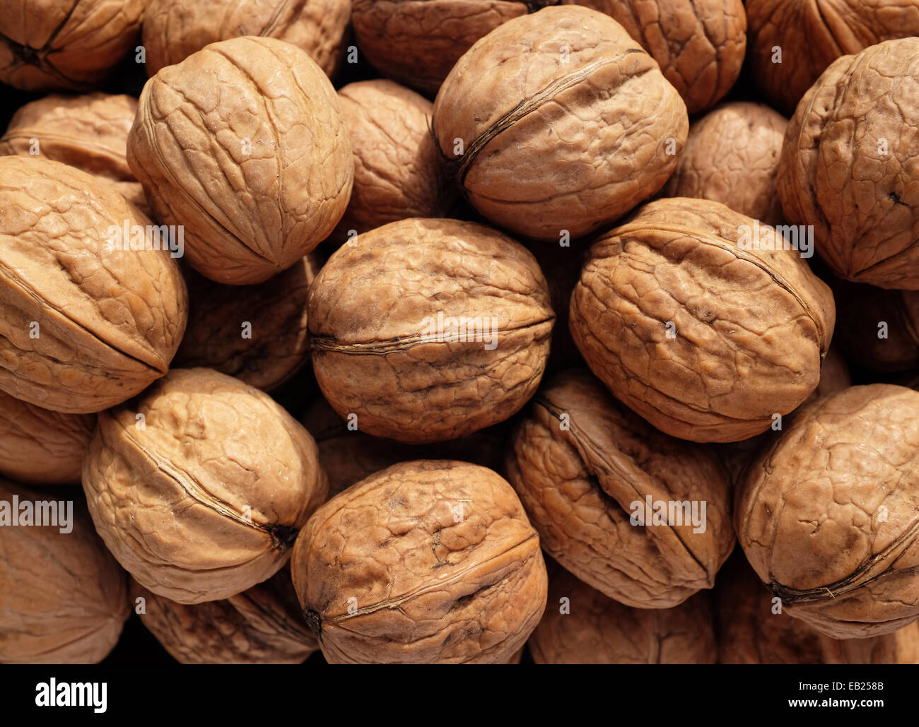 Walnut shells texture hi-res stock photography and images - Alamy