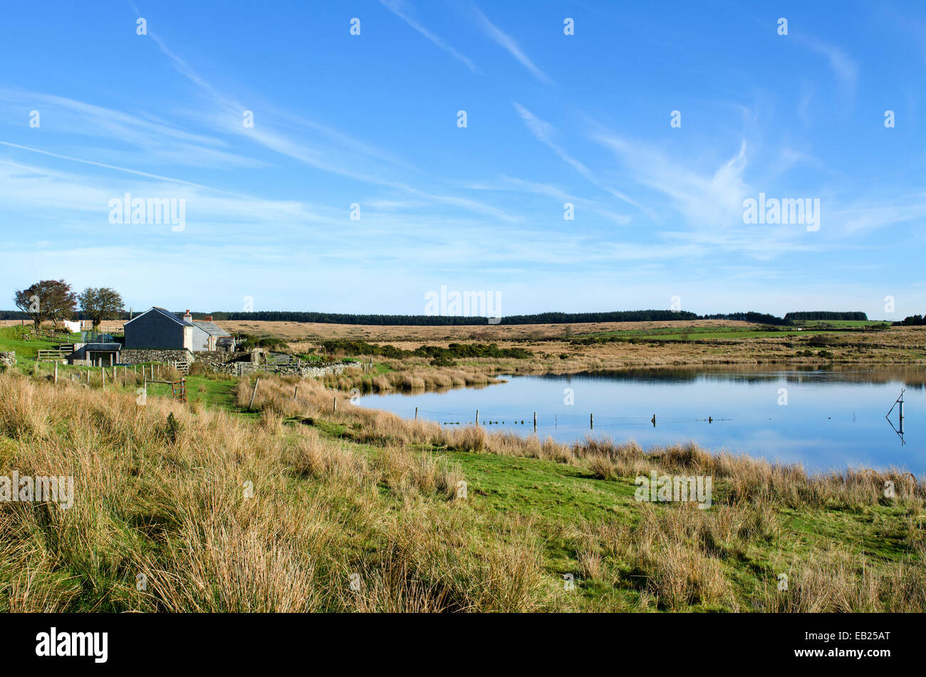 Cornwall moors hi-res stock photography and images - Alamy