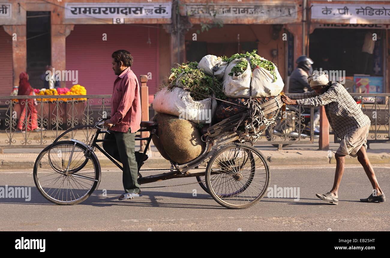 Tricycle transporting fresh vegetables to the market India Stock Photo ...