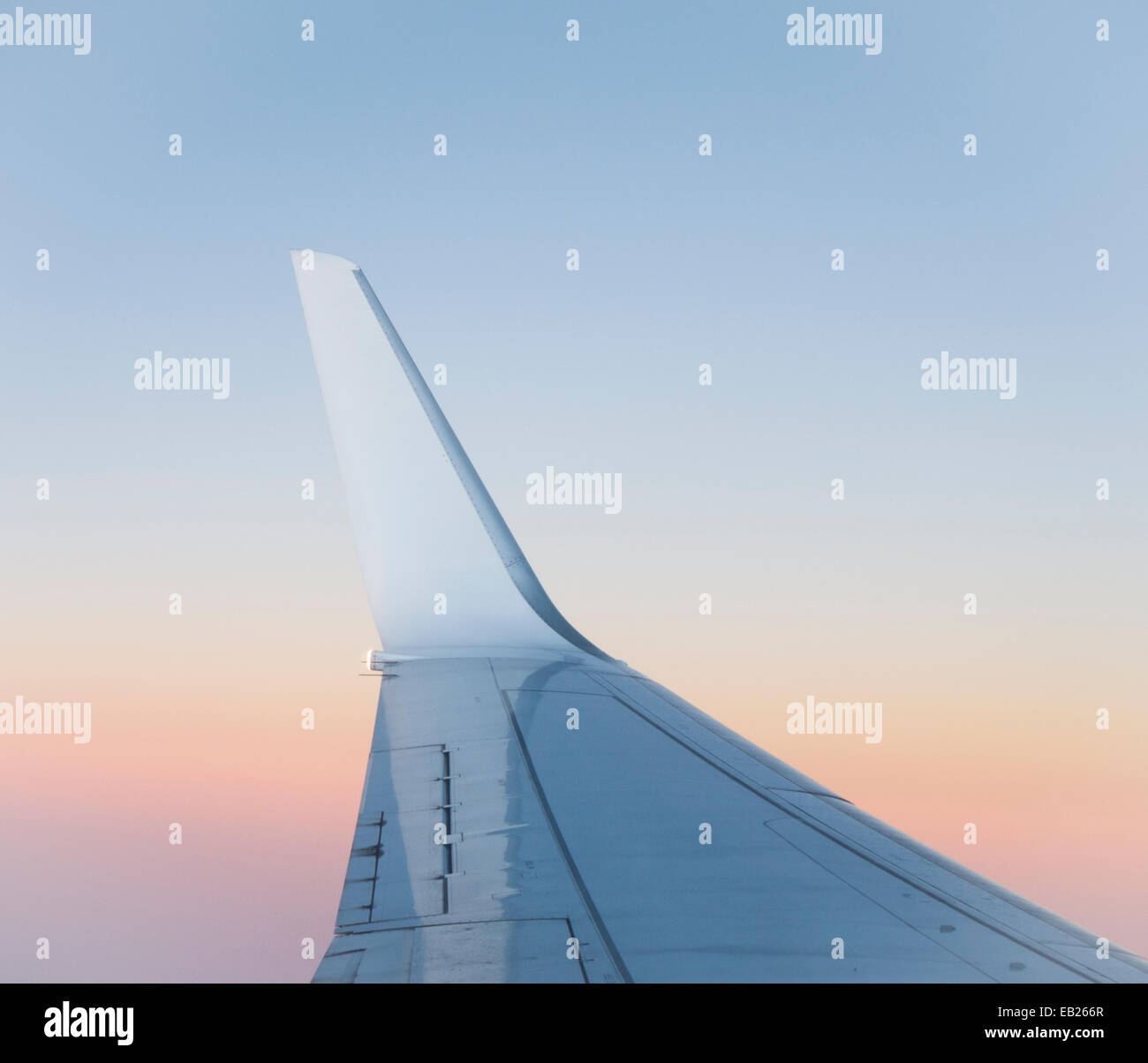 The wing hi-res stock photography and images - Alamy