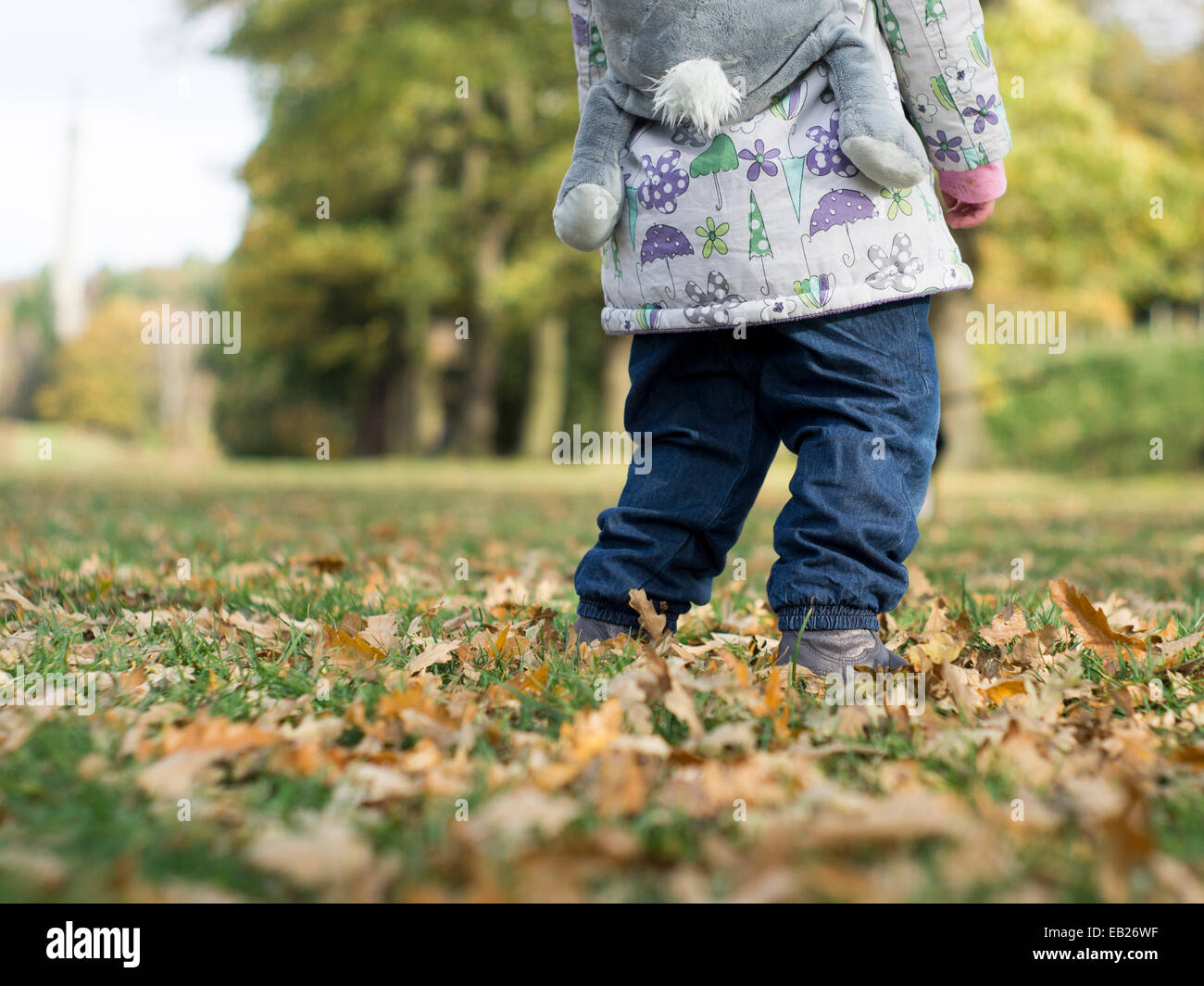 The little explorer Stock Photo - Alamy