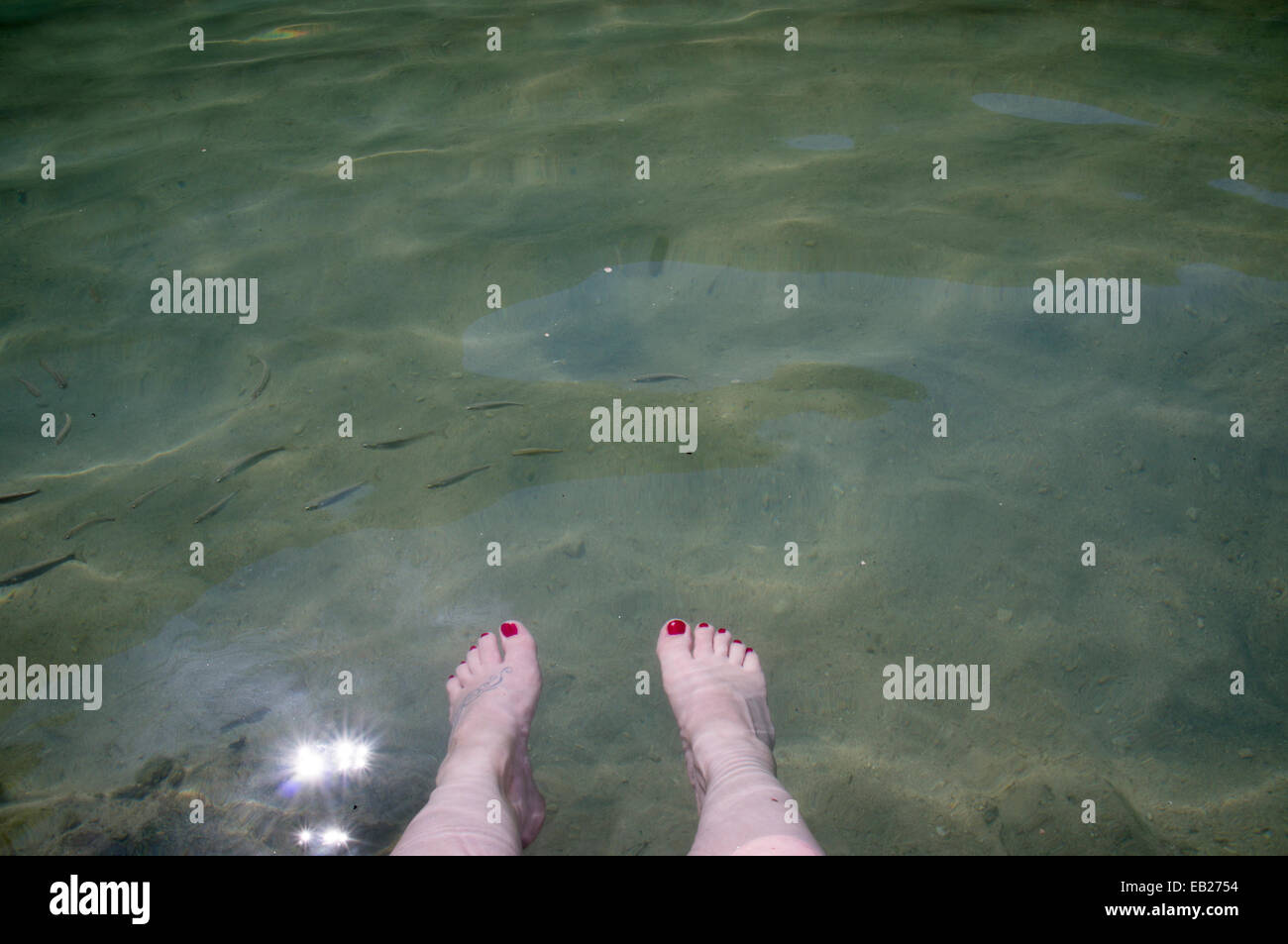 Feet and legs in water hi-res stock photography and images - Alamy