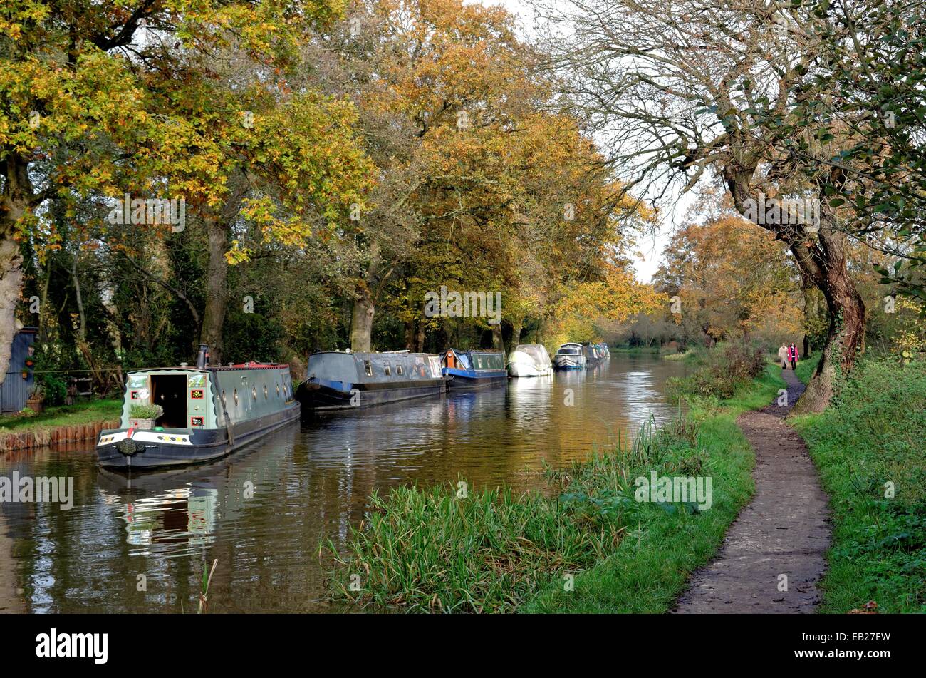 River Wey navigation at Ripley Surrey Stock Photo - Alamy