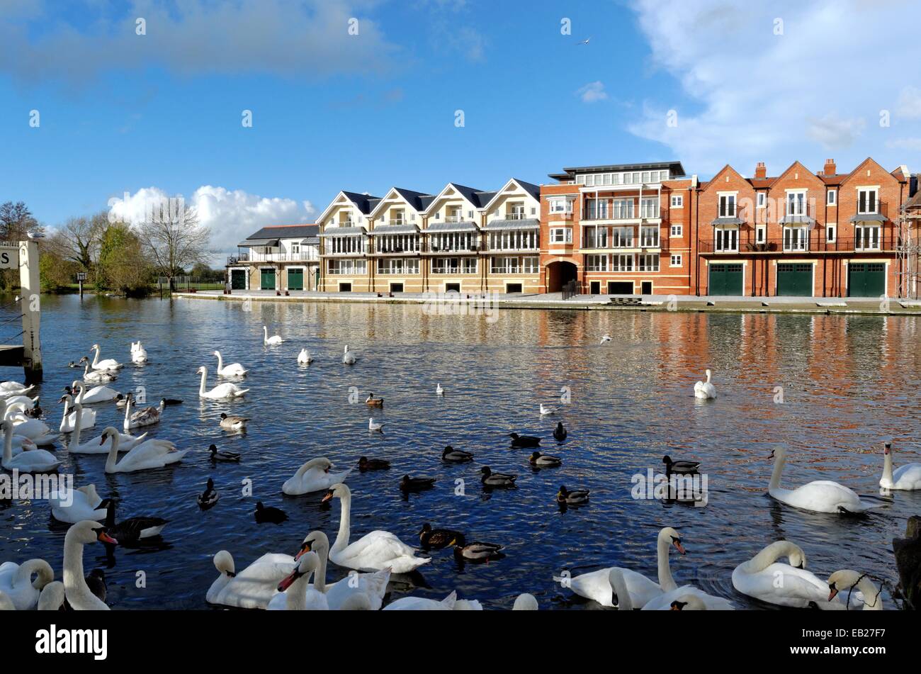 Modern apartments on riverside at Eton Berkshire Stock Photo - Alamy