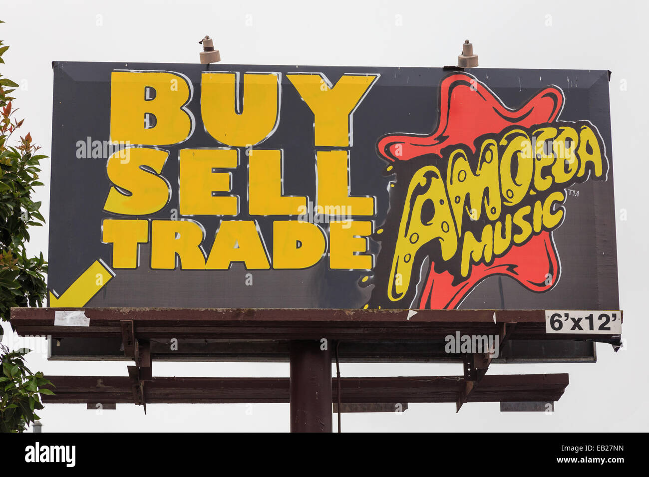 Amoeba Music Logo