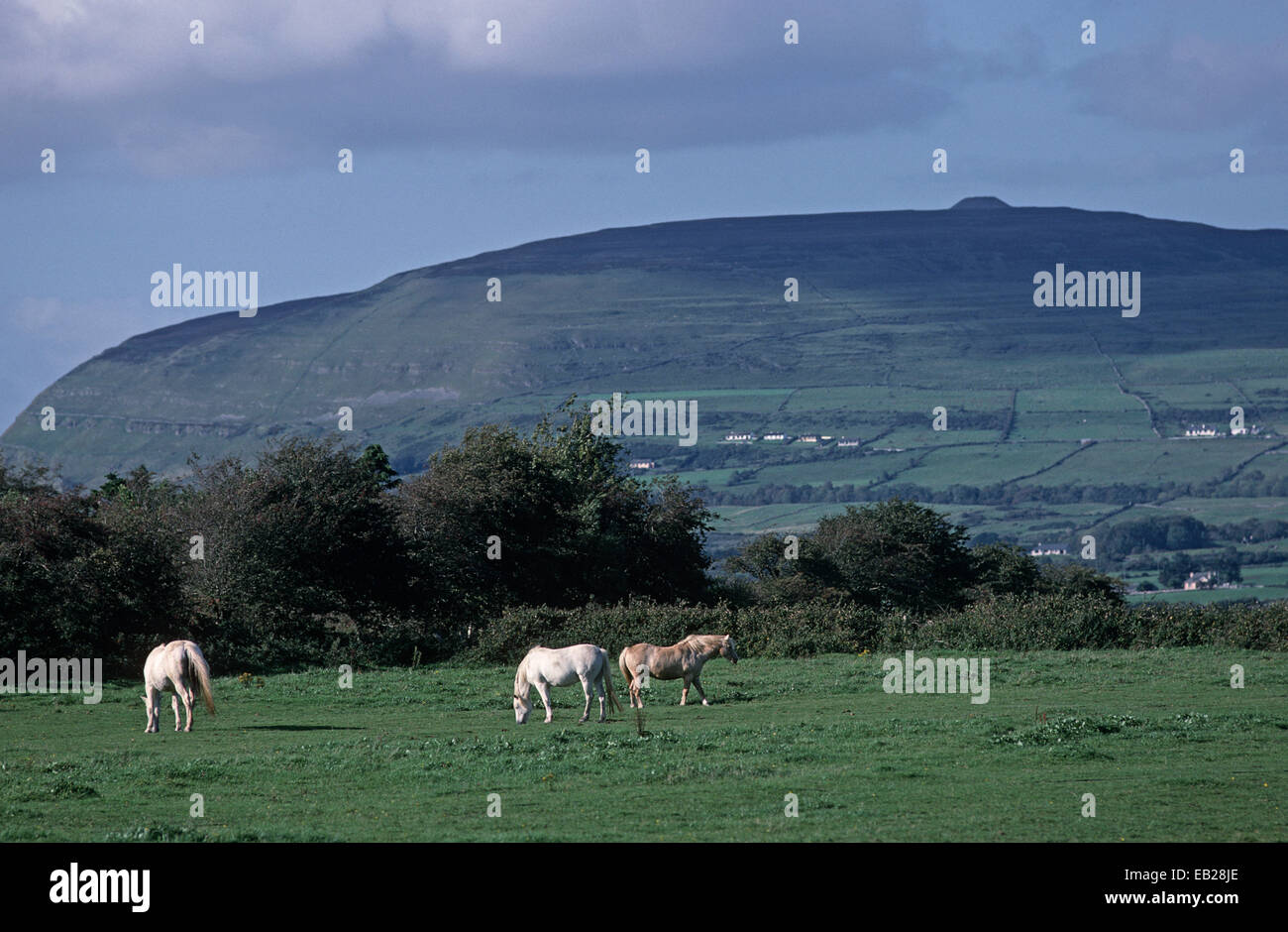 KNOCKNAREA HILL, COUNTY SLIGO, IRELAND, WHERE QUEEN MAEVE'S BURIAL TOMB ...