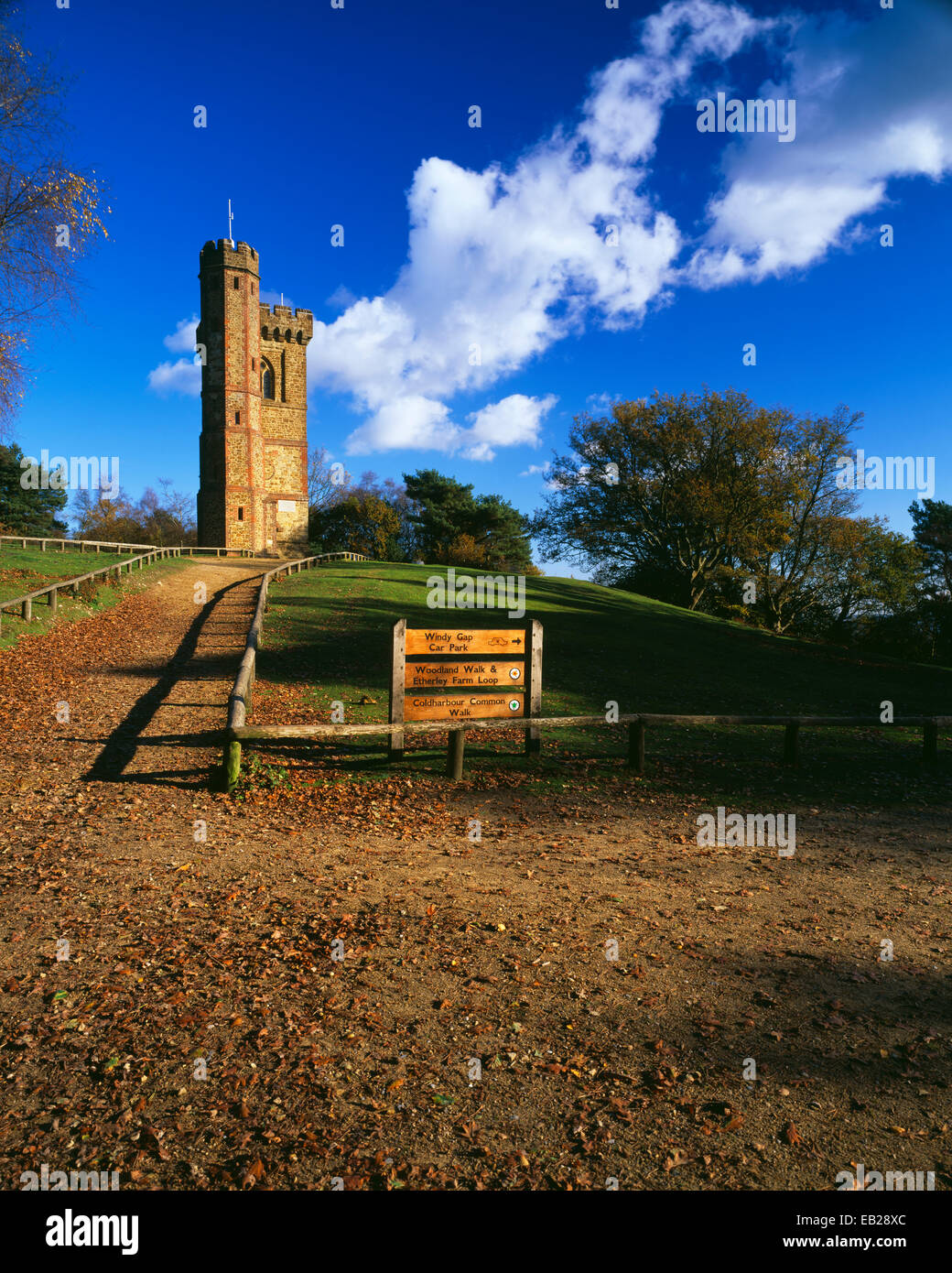 Coldharbour surrey hills hi-res stock photography and images - Alamy