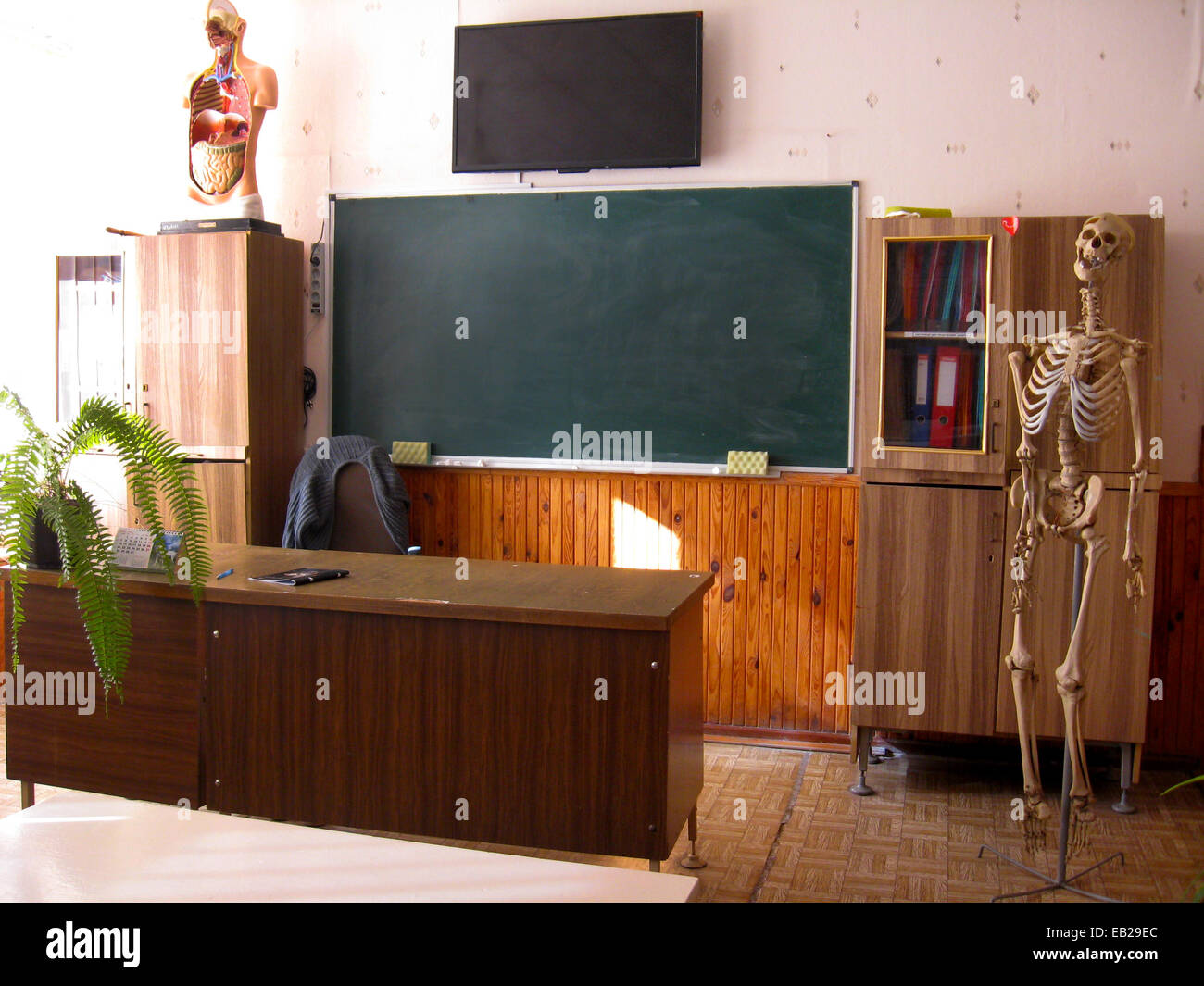 Human skeleton in classroom hi-res stock photography and images - Alamy