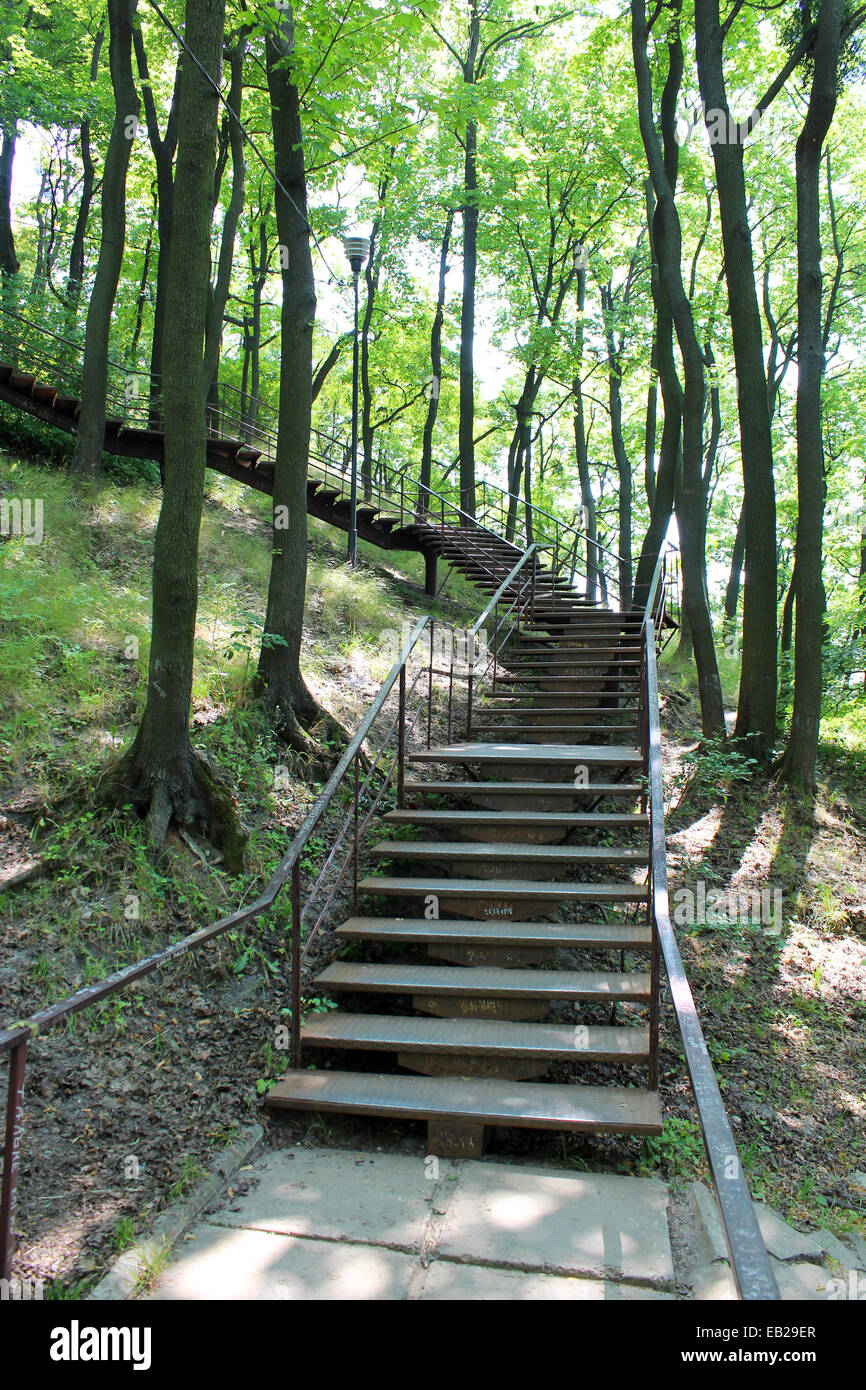 beautiful stairs in the park with big trees Stock Photo - Alamy