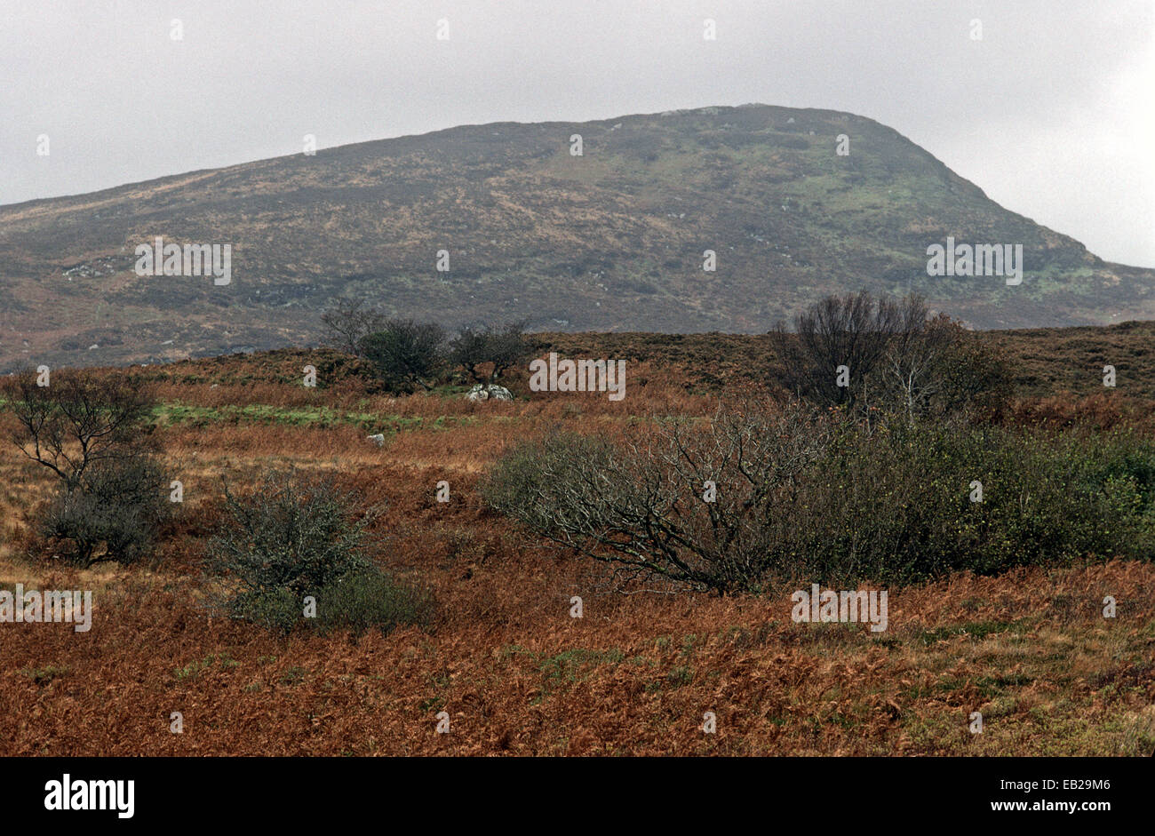 OX MOUNTAINS, COUNTY SLIGO, IRELAND. HAWK'S WELL, HAWK'S ROCK, HART ...