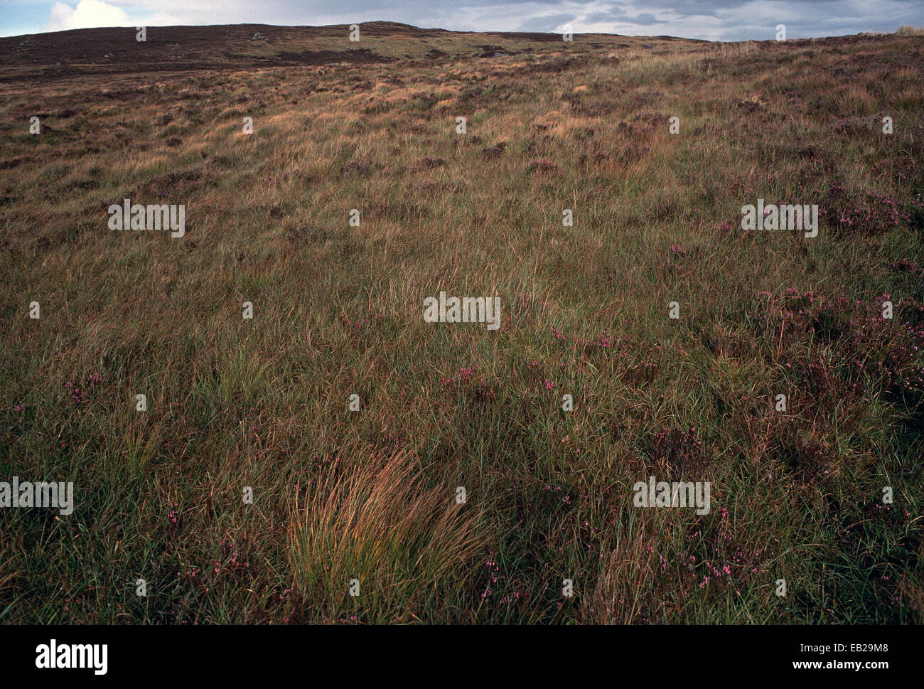 OX MOUNTAINS, COUNTY SLIGO, IRELAND. HAWK'S WELL, HAWK'S ROCK, HART ...