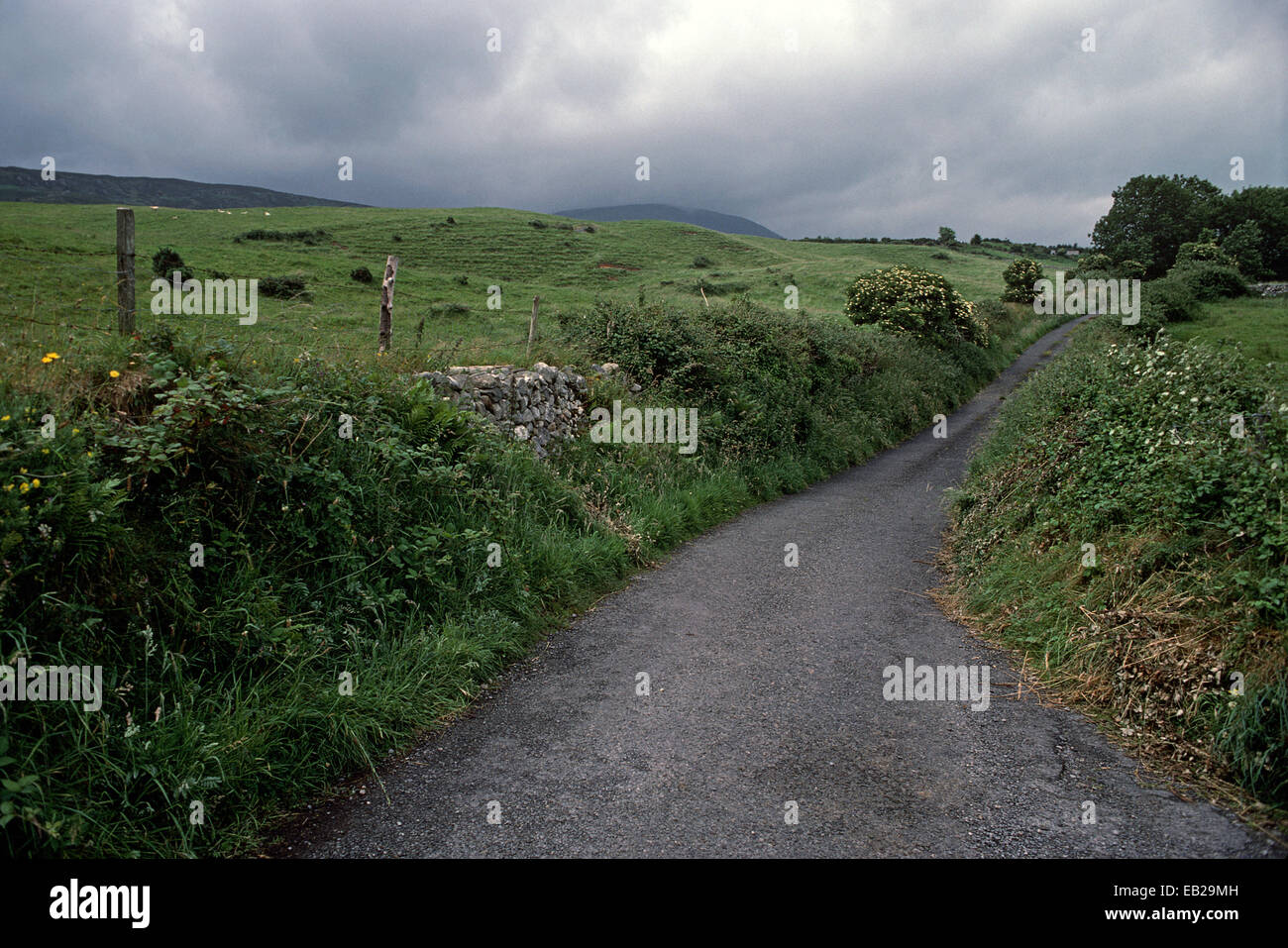 MOUNTAIN ROAD IN OX MOUNTAINS, COUNTY SLIGO, IRELAND. HAWK'S WELL, HAWK ...
