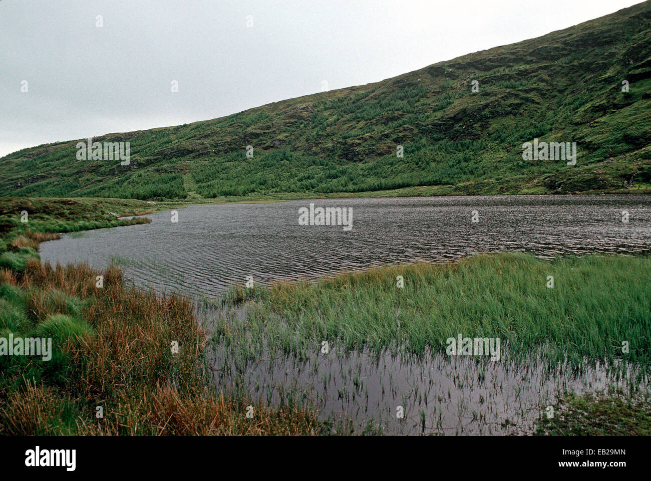 HEART LAKE, OX MOUNTAINS, COUNTY SLIGO, IRELAND. HAWK'S WELL, HAWK'S ...