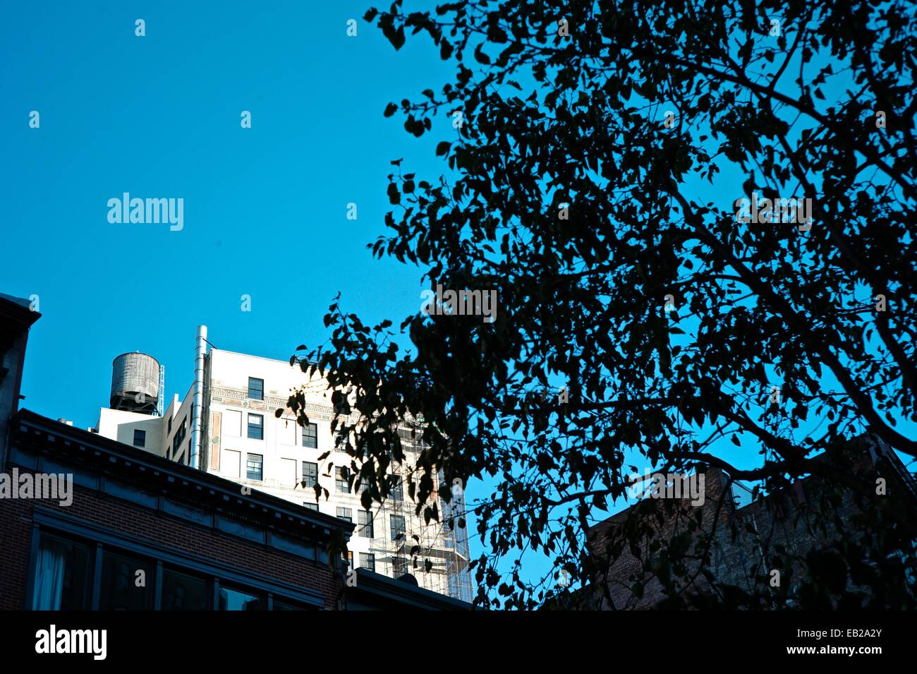 Building at union square hi-res stock photography and images - Alamy
