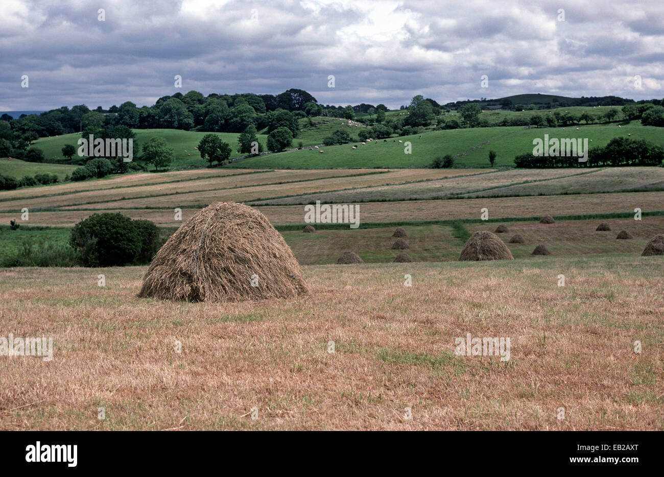 HAY STACK IN COUNTY SLIGO FIELD. W.B.YEATS COUNTRY, IRELAND Stock Photo ...