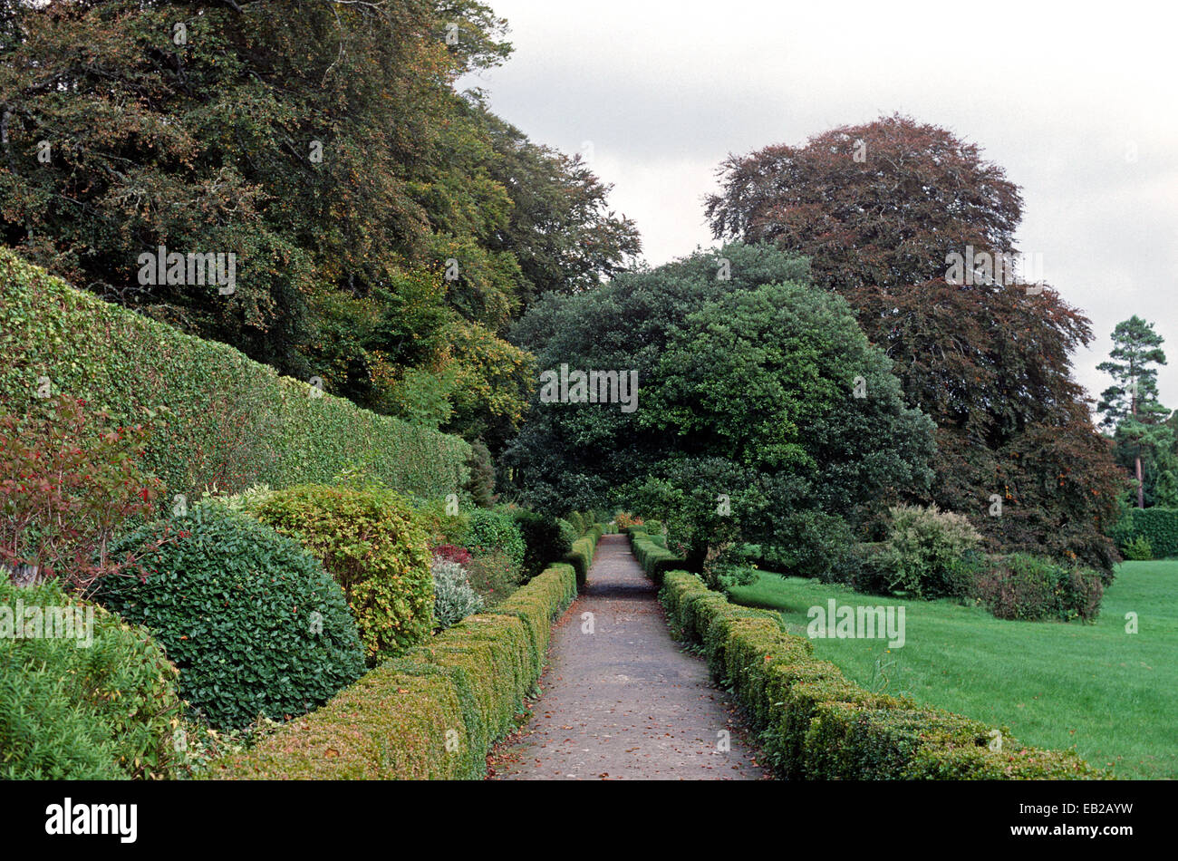PATH LEADING TO AUTOGRAPH TREE, COOLE PARK. COOLE PARK HOUSE WAS ONCE ...