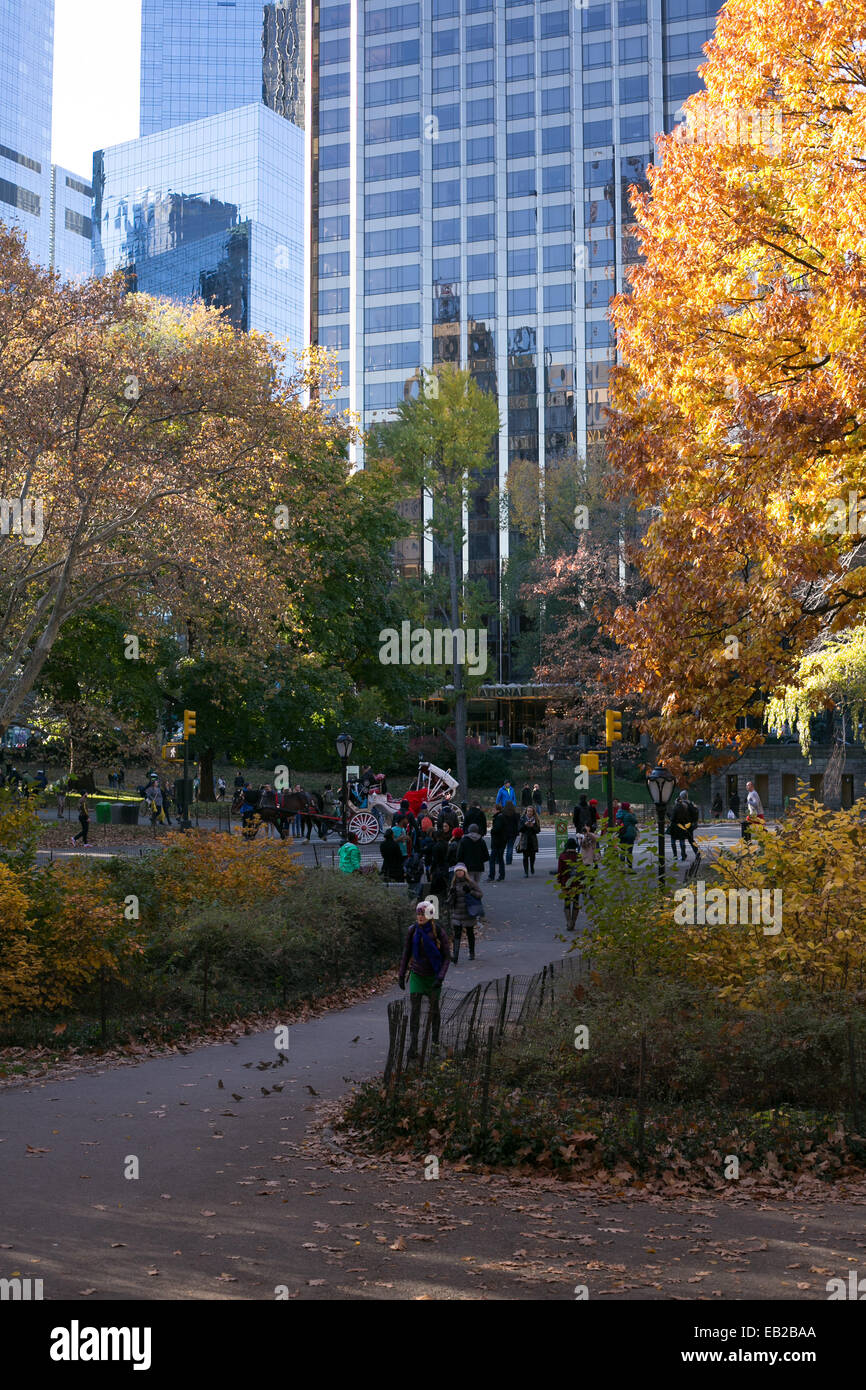 Central park vertical hi-res stock photography and images - Alamy